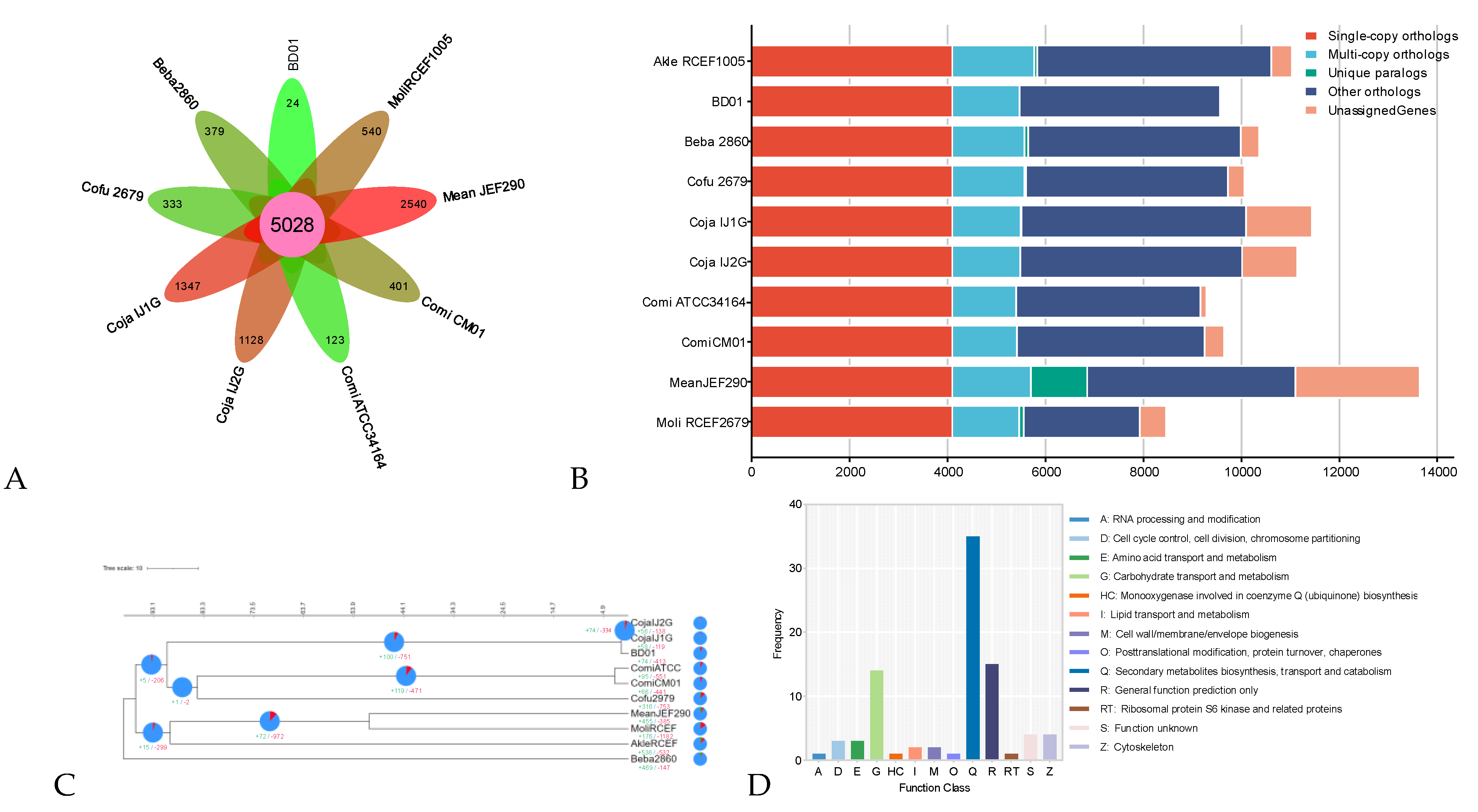 Genome Sequence, Comparative Genome Analysis and Expression Profiling ...