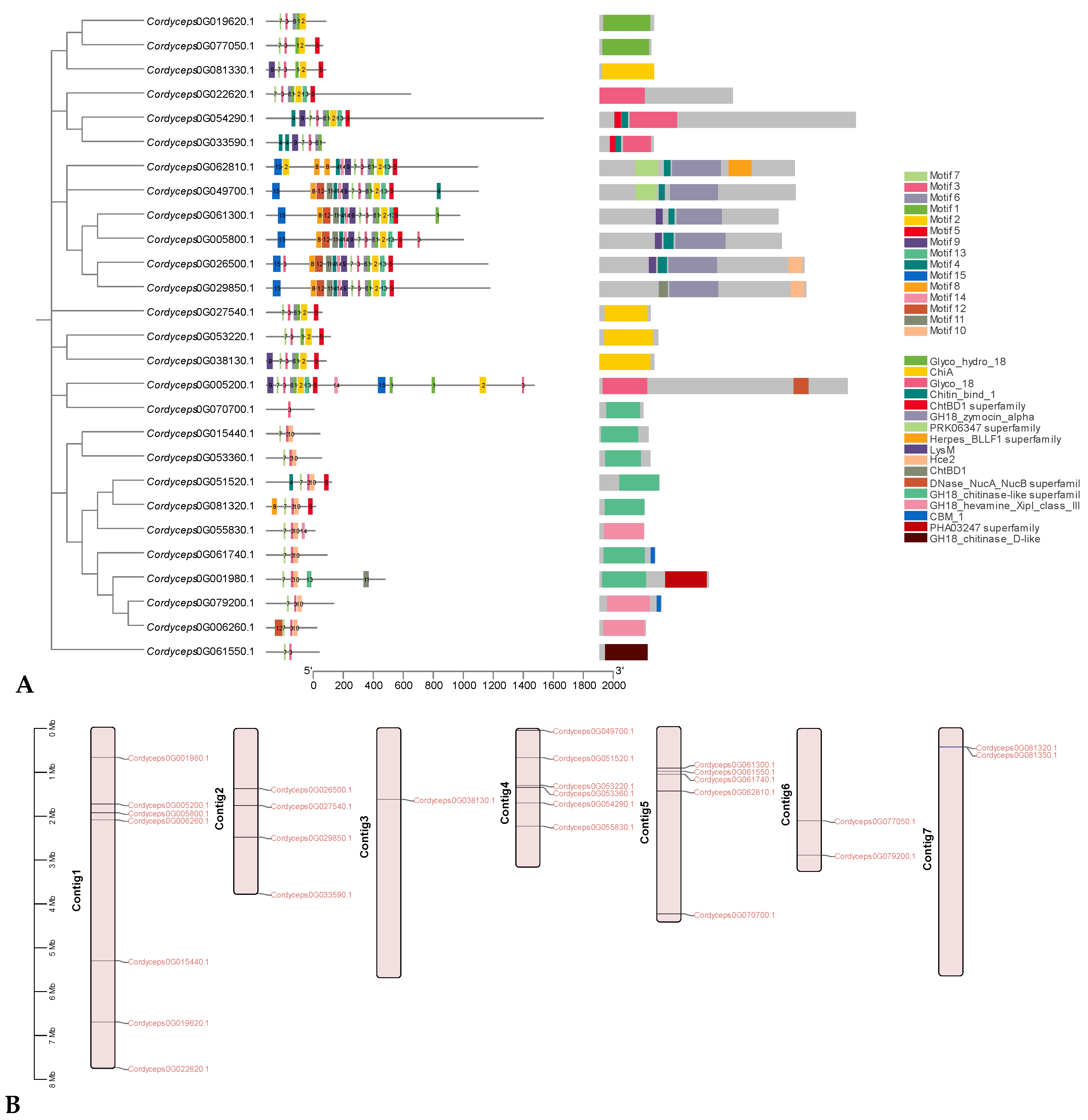 Genome Sequence, Comparative Genome Analysis and Expression Profiling ...