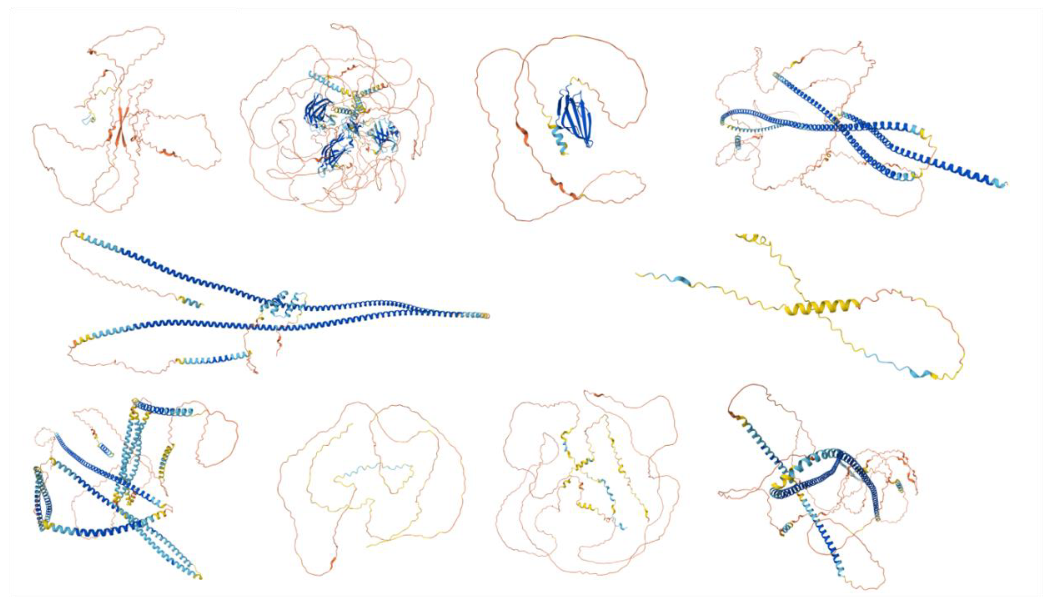 Intrinsic Disorder and Liquid-Liquid Phase Separation Potential of the ...