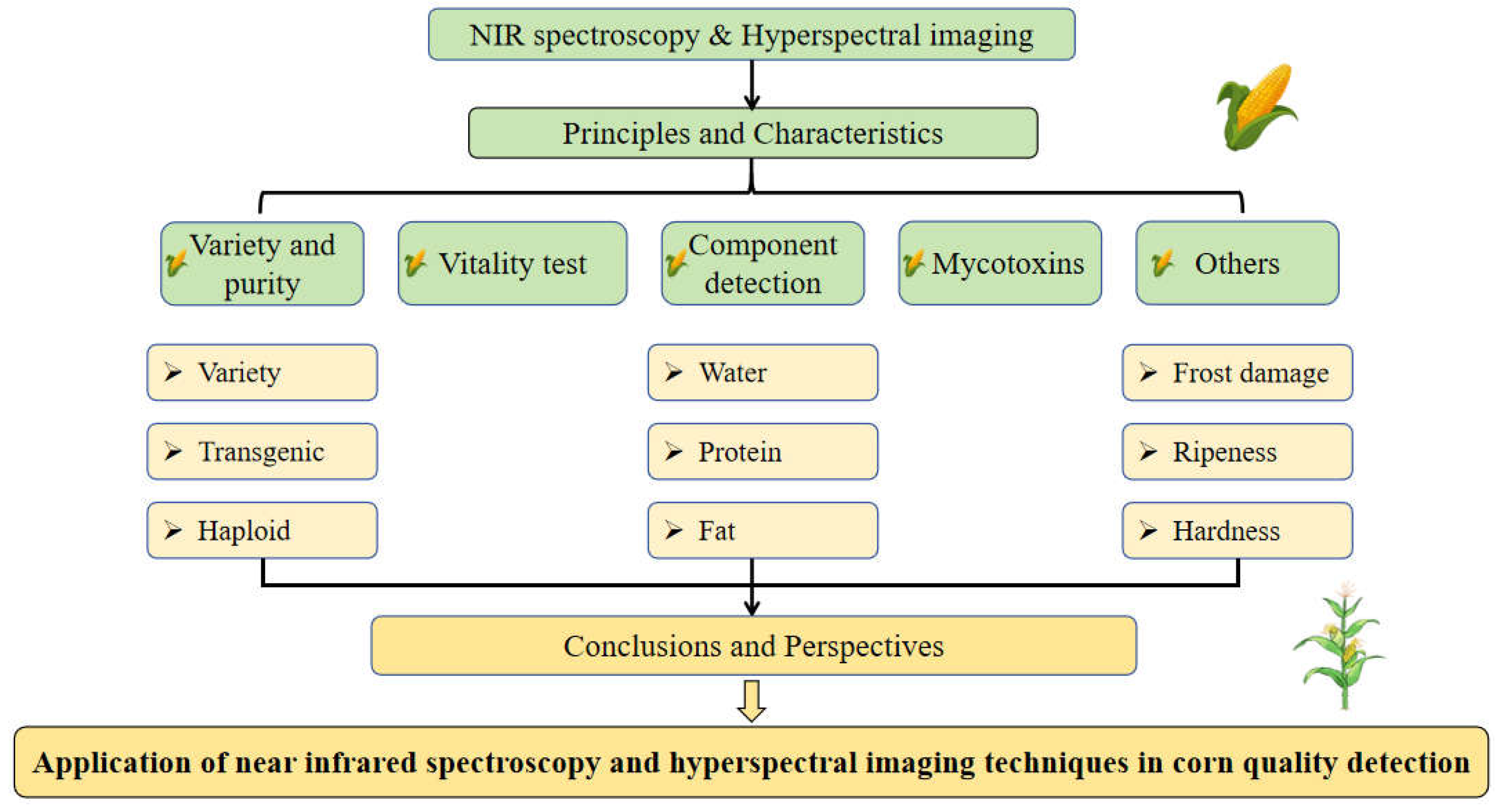 Corn Seed Quality Detection Based on Spectral and Its Imaging ...