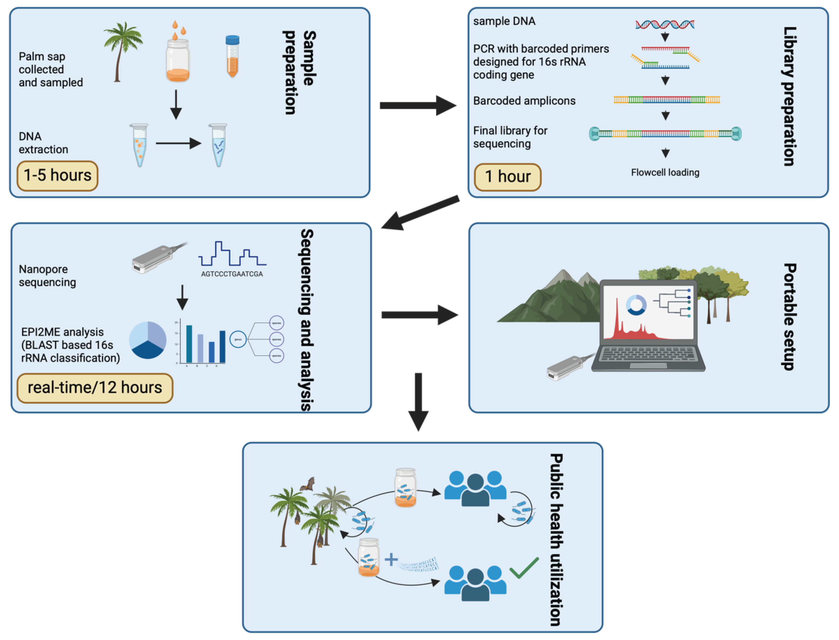 Bacterial Metabarcoding of Raw Palm Sap Samples From Bangladesh With Nanopore Sequencing[v1 ...