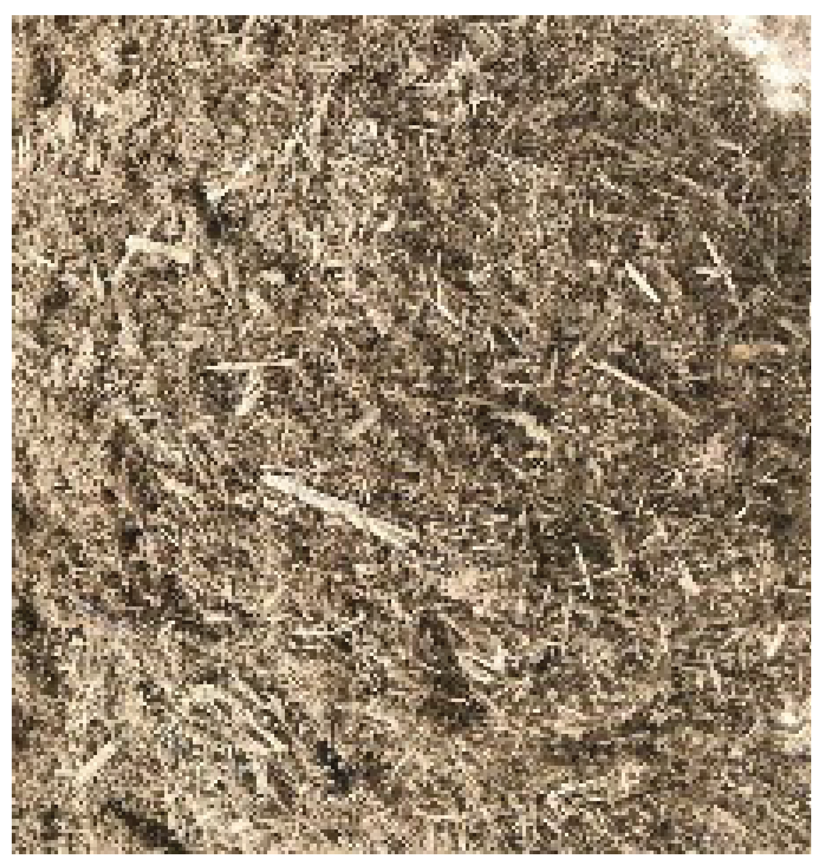 Enhanced Sound Absorption of Partially Perforated Sugarcane Bagasse Bio ...