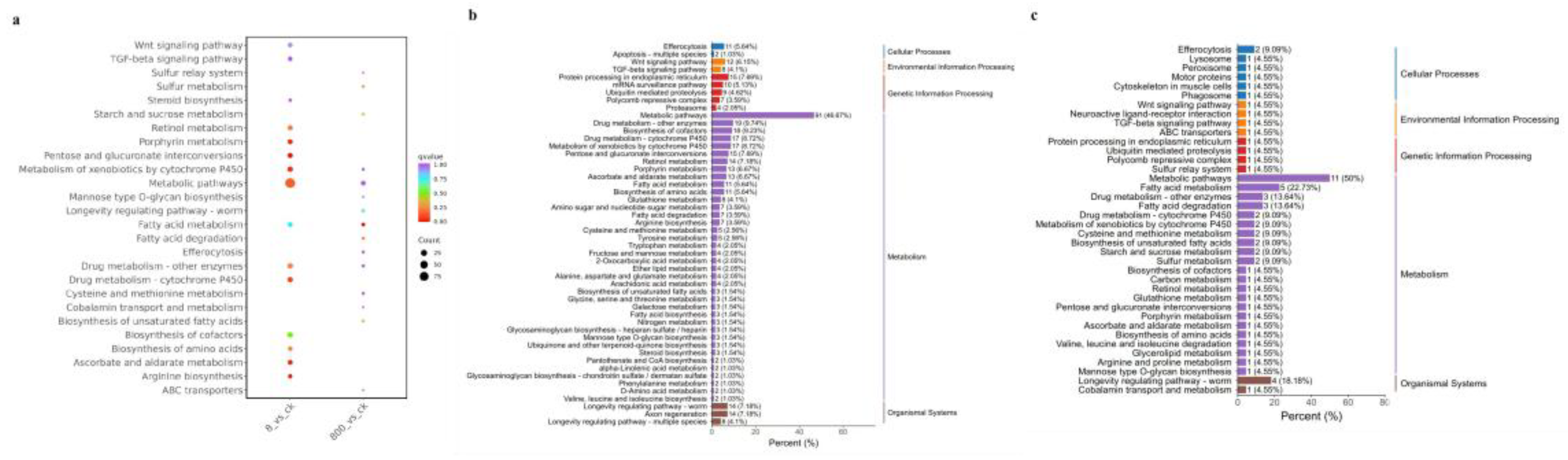 Transcriptomics-Based Toxicological Study of Nickel on Caenorhabditis ...