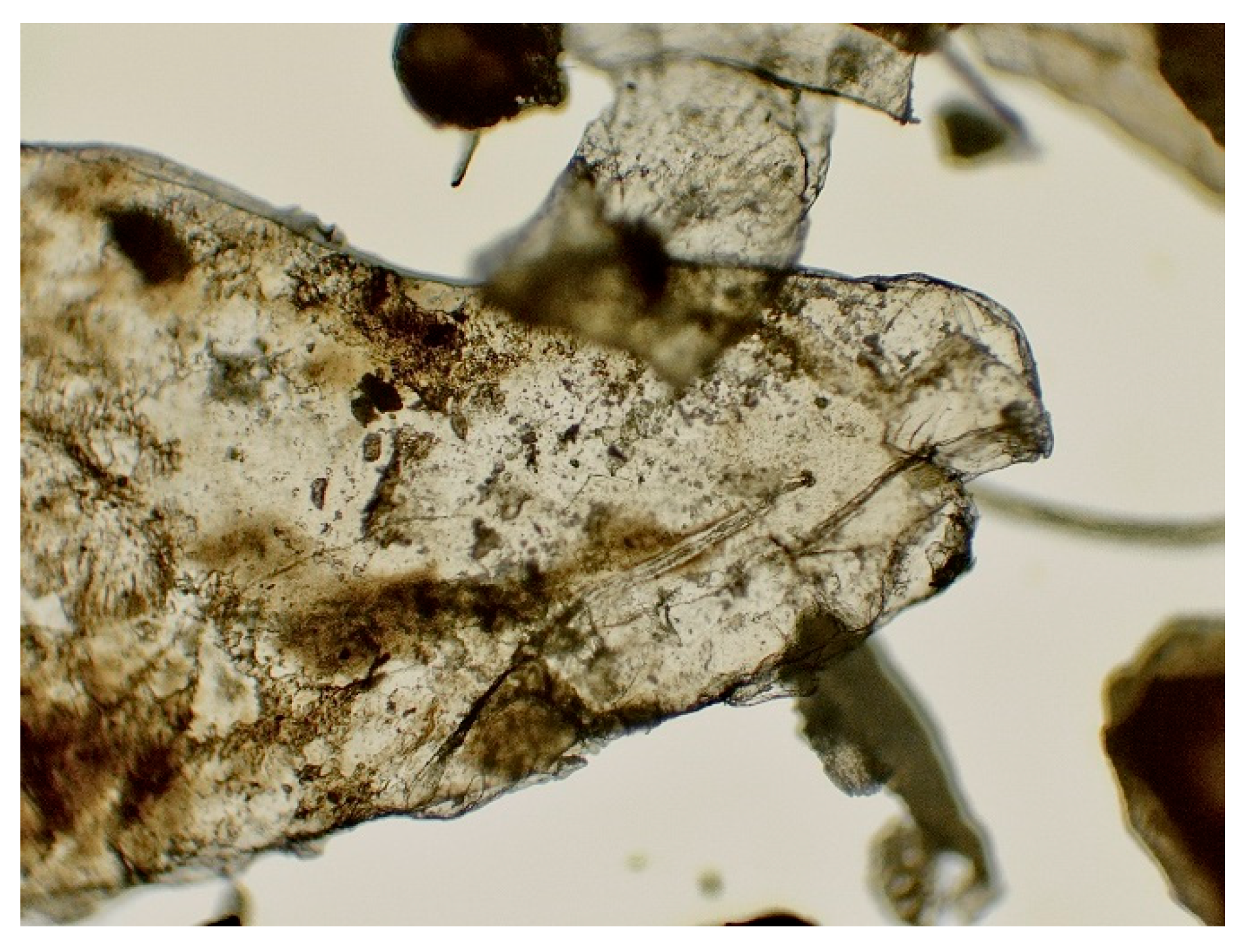 From blue crab to green chitin A sustainable extraction method using ...