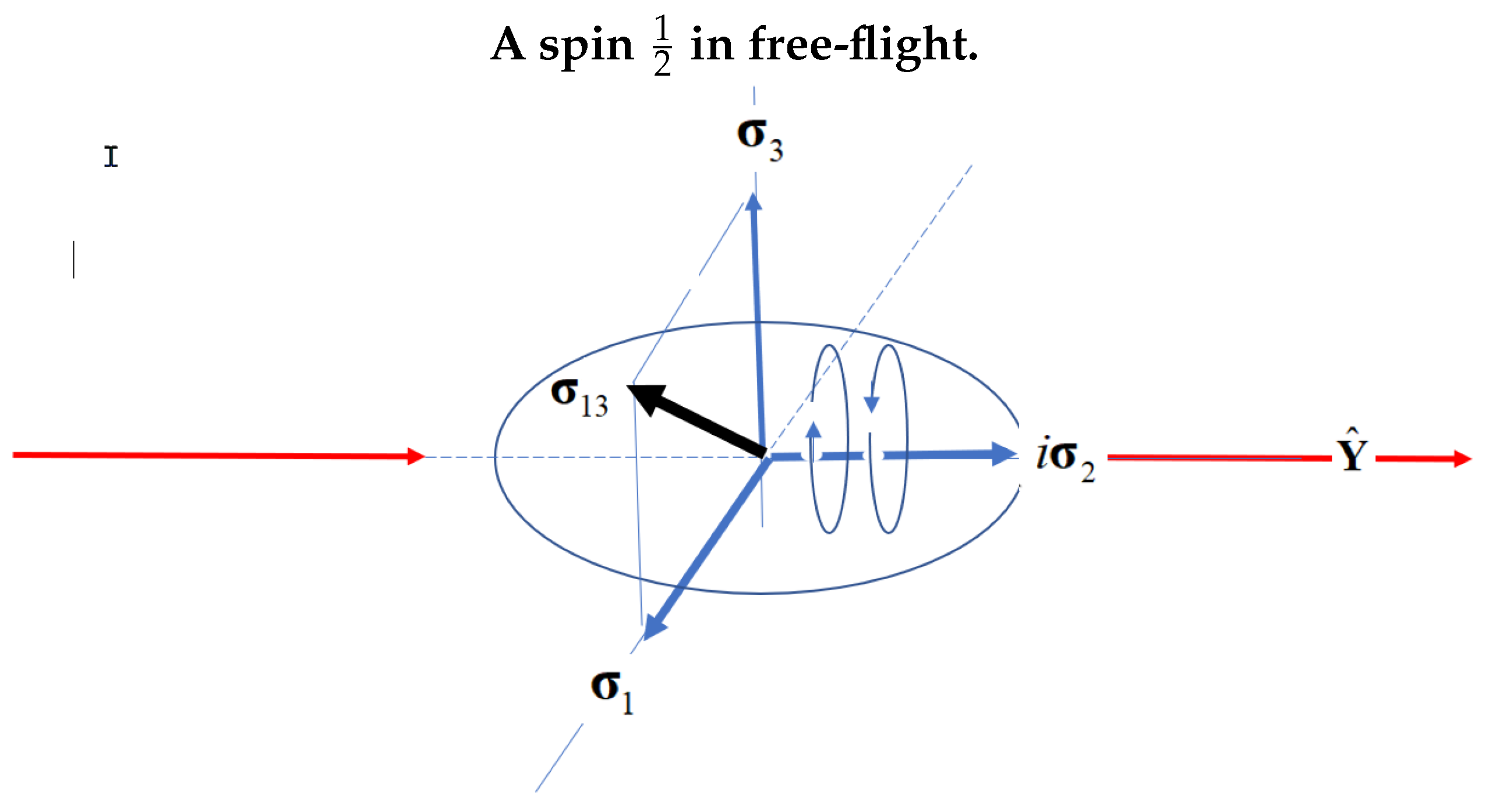 Extrinsic Quaternion Spin - [v3]