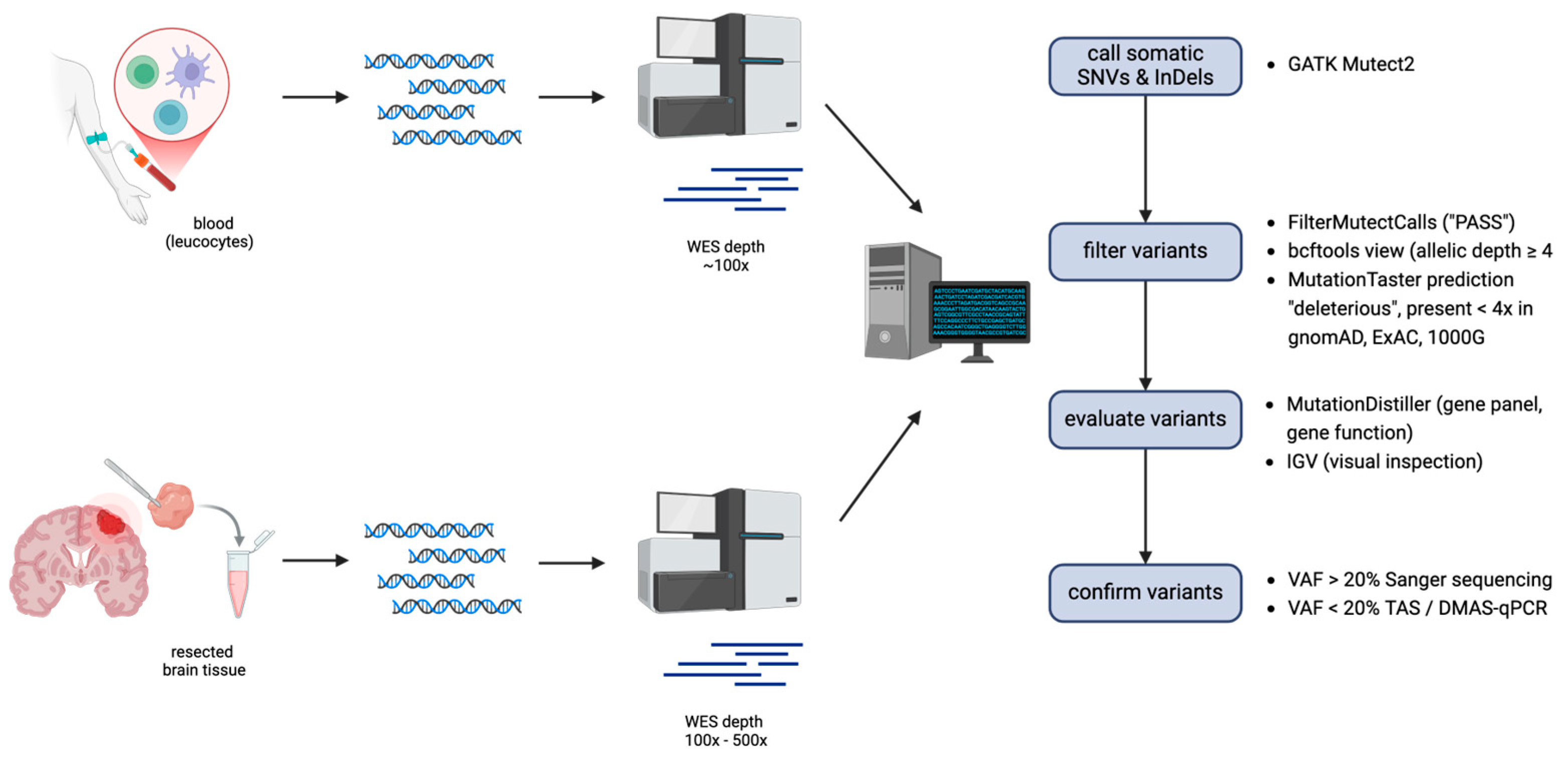Somatic DNA Variants in Epilepsy Surgery Brain Samples from Patients ...