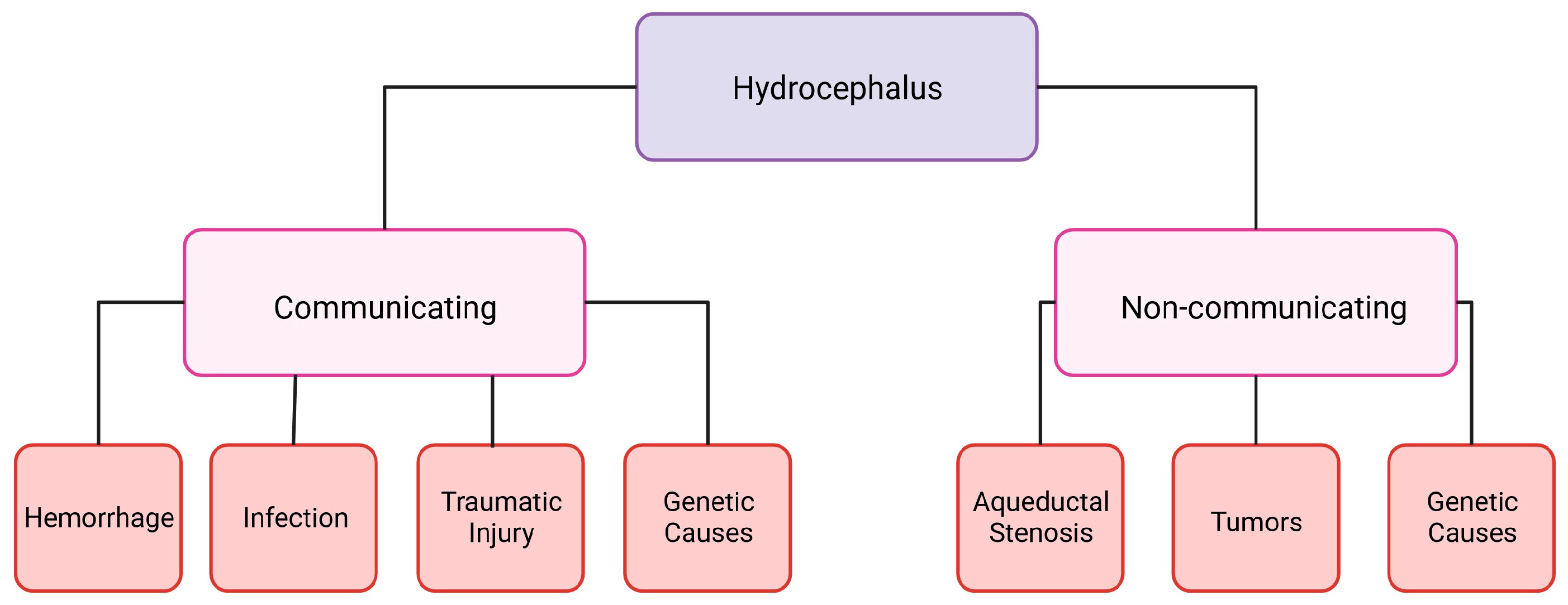 Understanding and Modeling the Pathophysiology of Hydrocephalus: In ...