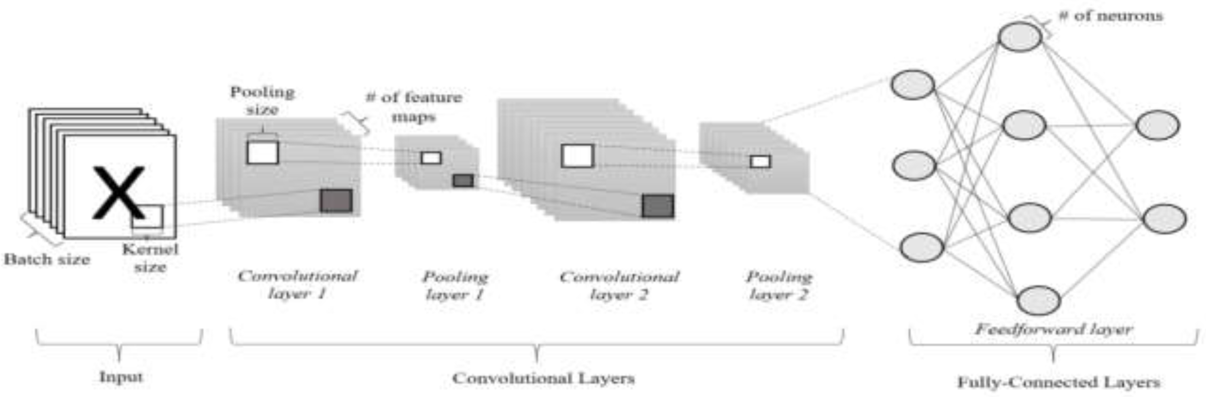 Bone Fracture Detection from X-ray Images using a Convolutional Neural Network (CNN)[v1 ...