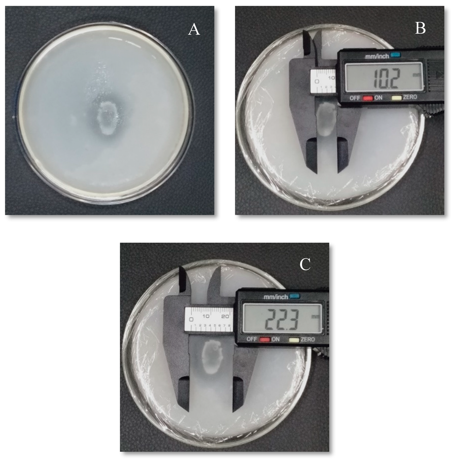 Potential of Locally-Isolated Acinetobacter baumannii Strains as ...