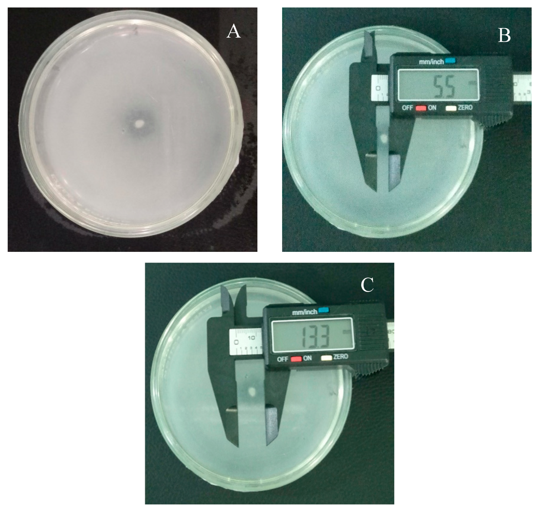 Potential of Locally-Isolated Acinetobacter baumannii Strains as ...