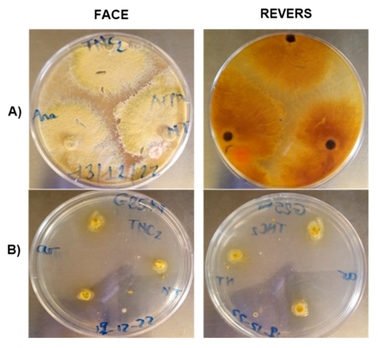 Chemical Composition and Antifungal Activity of Cyperus articulatus, Cyperus rotundus and Lippia ...