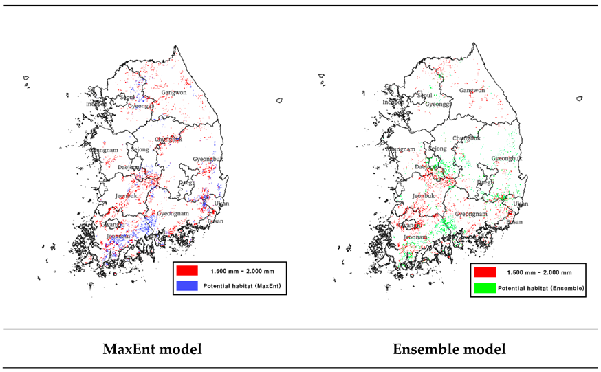 Prediction of Potential Habitat for Luciola unmunsana Using Species ...