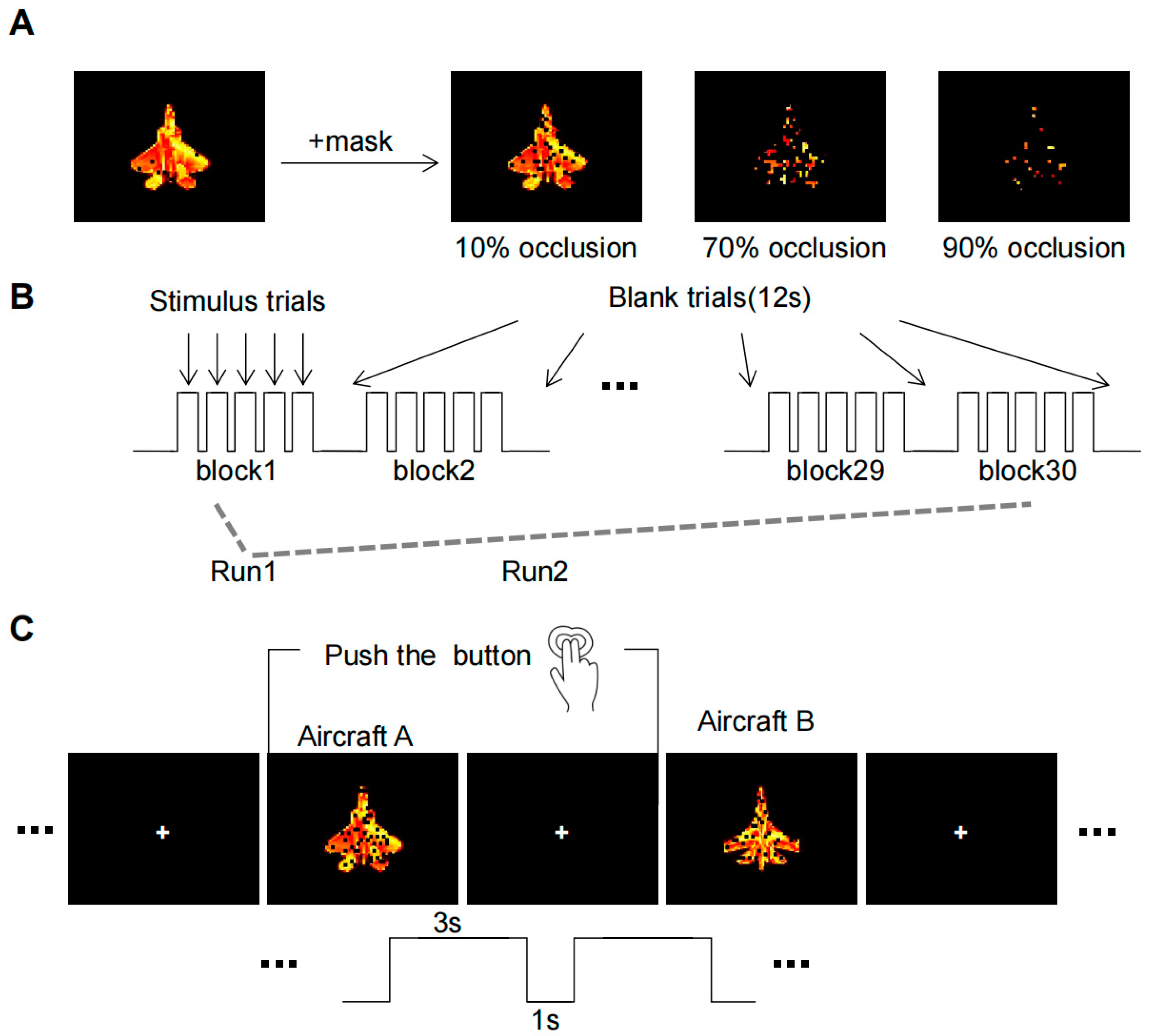 Brain Functional Representation of Highly Occluded Object Recognition[v1] | Preprints.org