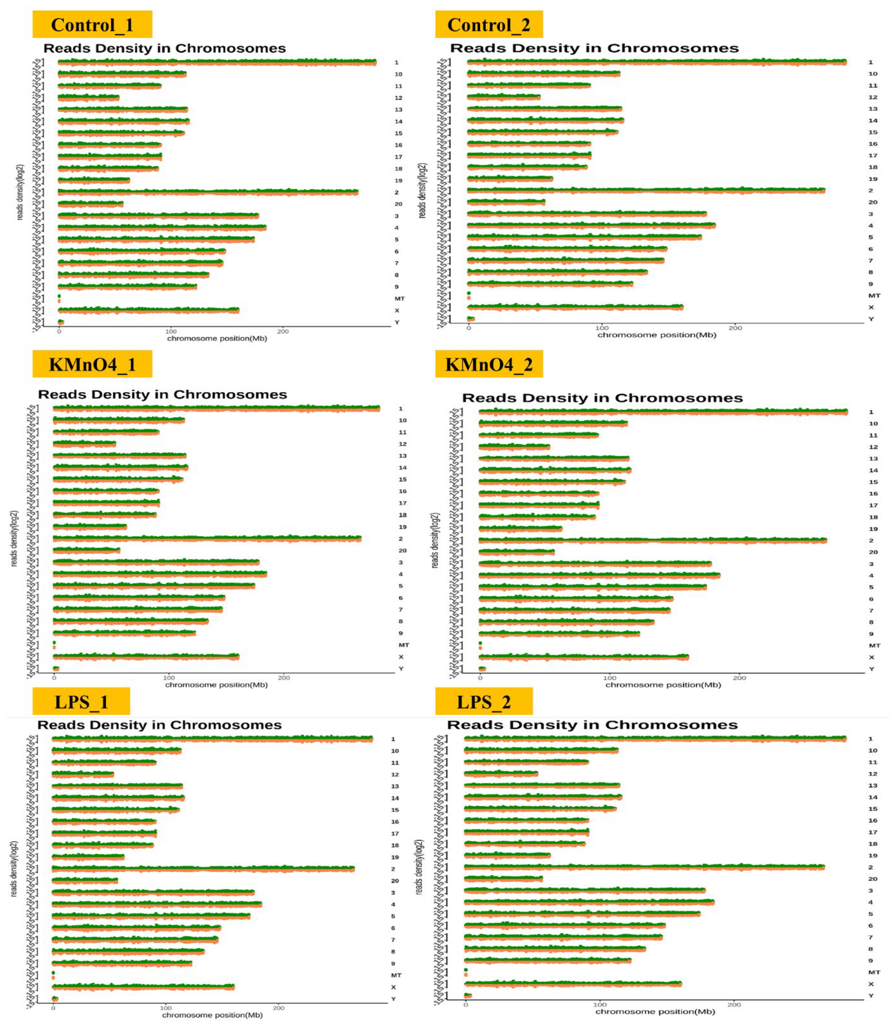 Comparative Transcriptional Analysis of Long Noncoding RNAs in ...