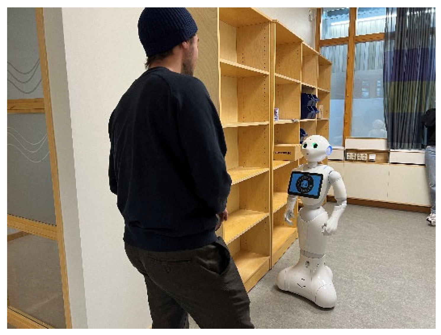 Navigating the Human-Robot Interface – Exploring Humans Interactions ...