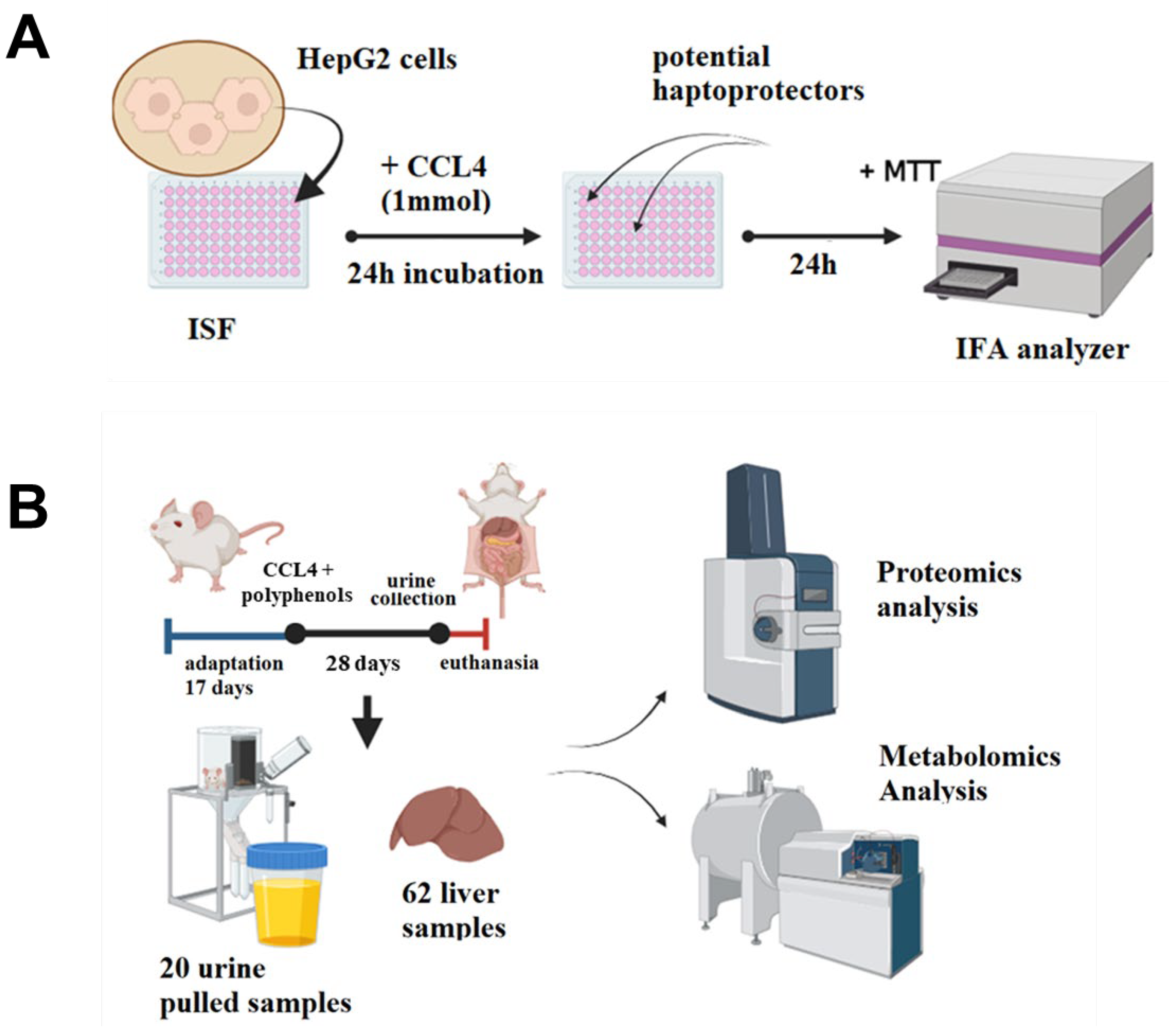 Hepatoprotective Activity of Nature-Derived Polyphenols Studied by Mass ...