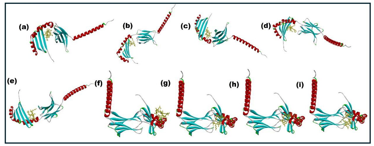 Development of a Pan-Species Multi-Epitope DNA Based Vaccine Against ...