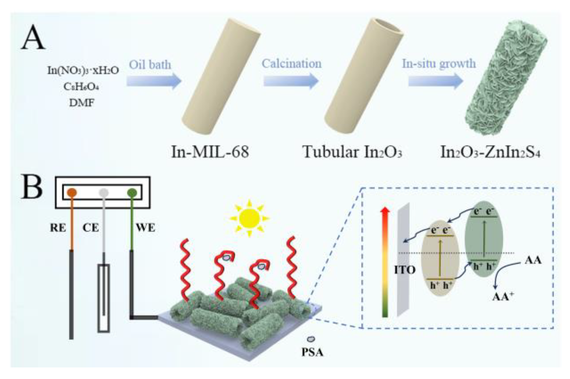 Photoelectrochemical Biosensor Based On 1D ZnIn2S4 Nanosheet Decorated ...