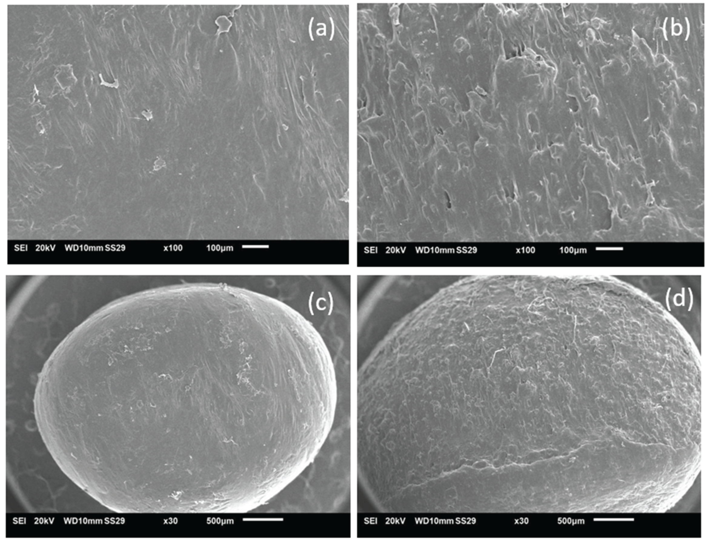 Mechanical and Thermal Properties of Coconut (Cocos nucifera ...