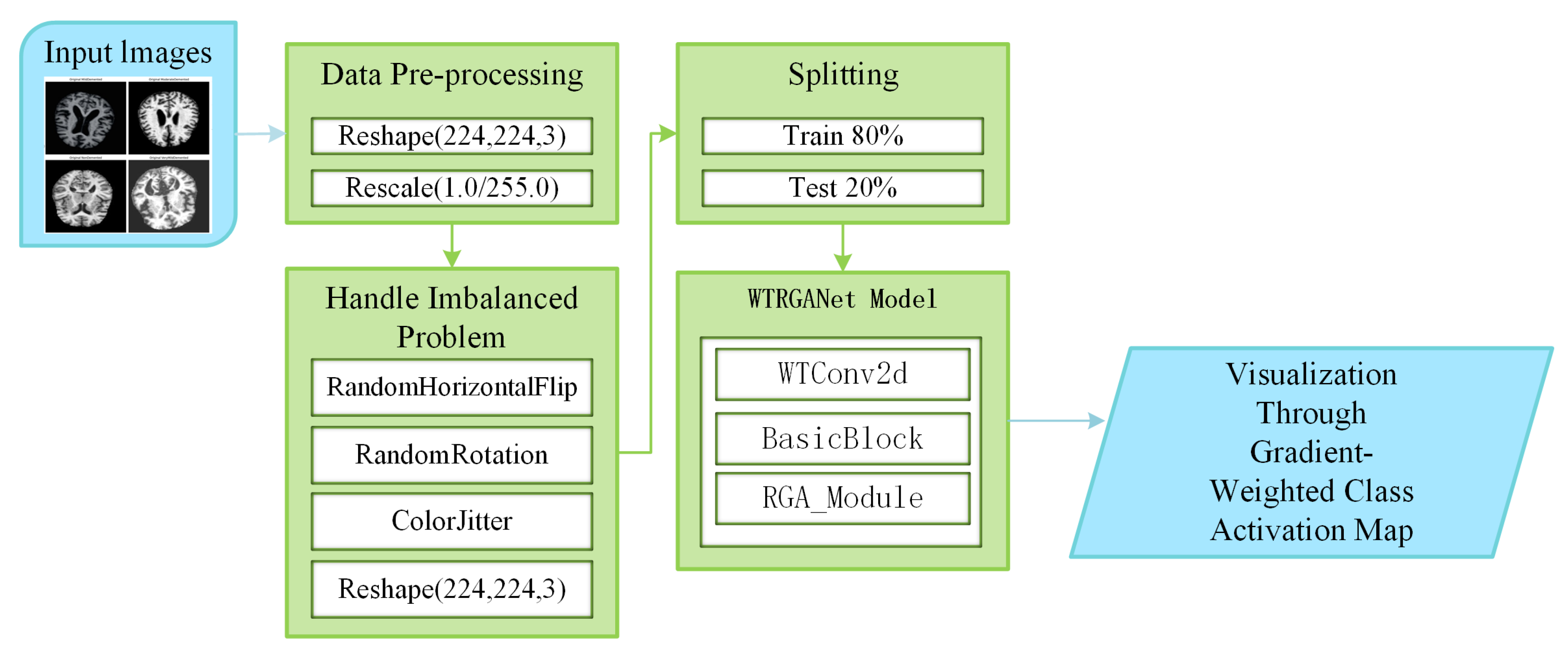 WTRGANet: An Alzheimer’s MRI Image Recognition Method Based on a Wavelet-Integrated Residual ...