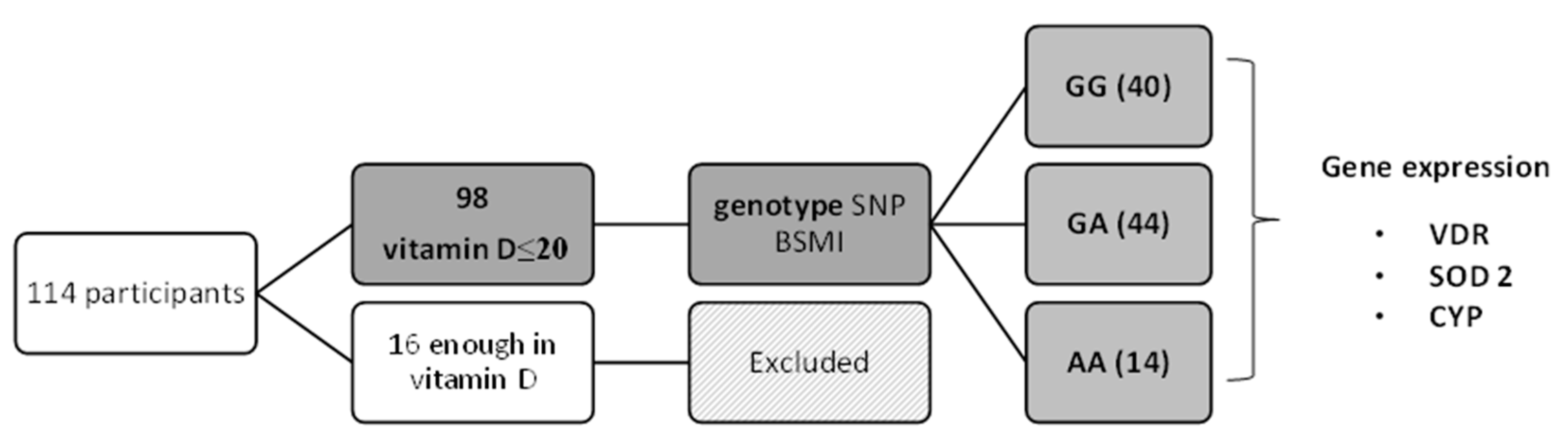 Effects of Single Nucleotide Polymorphism BsmI of the Vitamin D Receptor (VDR) Gene on VDR, SOD ...