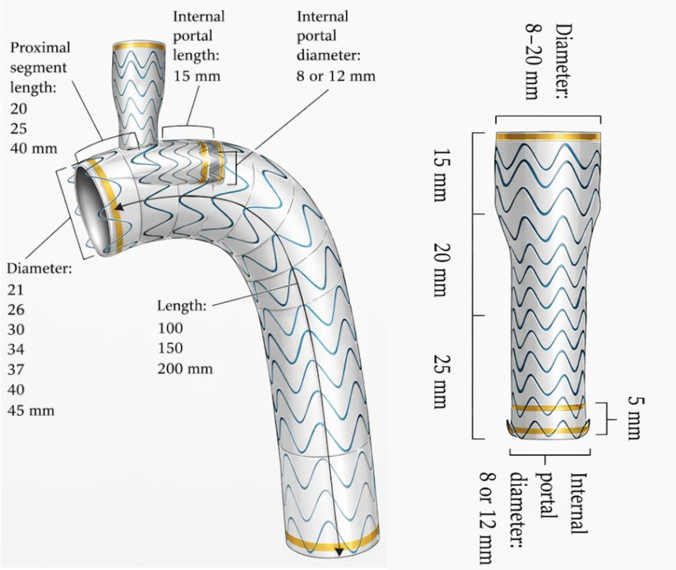 Dedicated Single-Branch Platforms for Totally Endovascular Zone 2 TEVAR ...