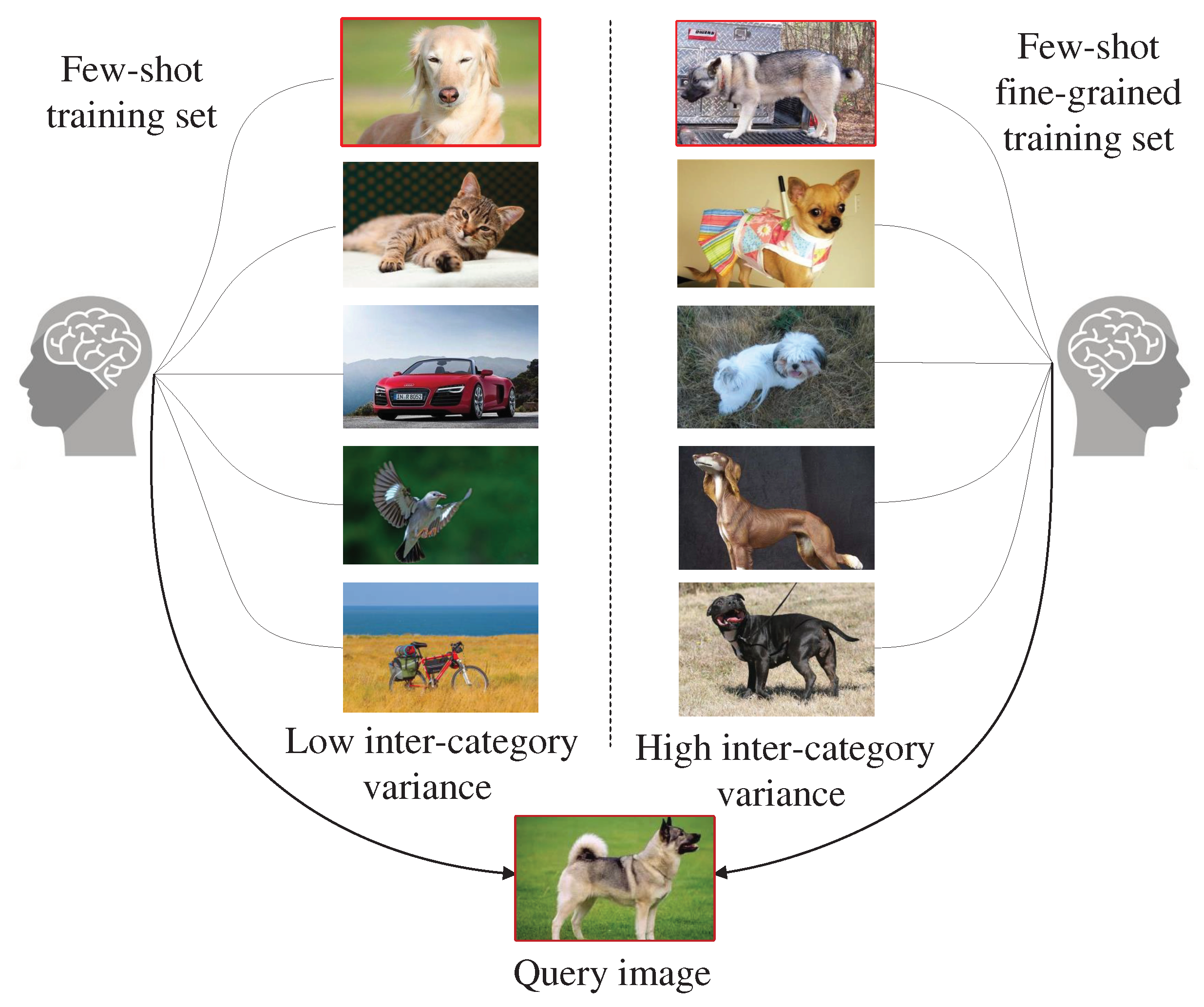 Feature Representation Learning for Few-Shot Fine-Grained Image Classification: A Comprehensive ...