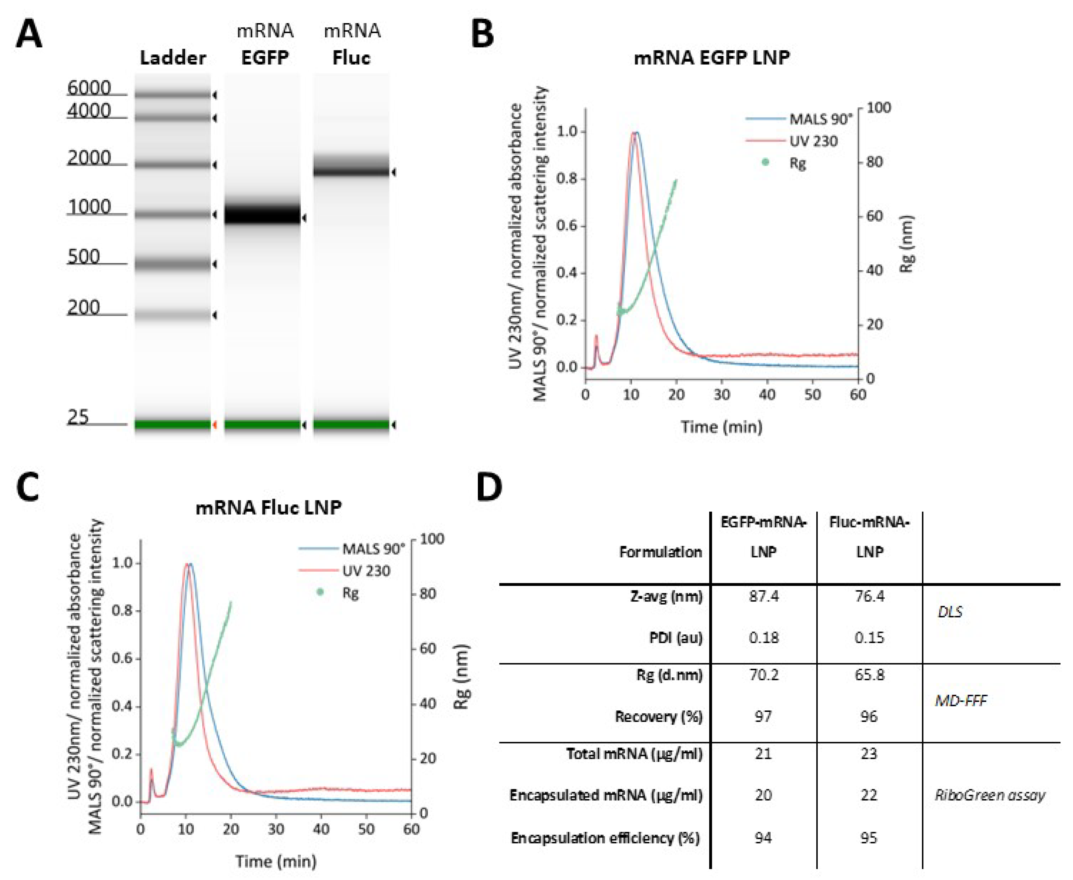 Implementation of the mRNA-Lipid Nanoparticle Technology in Atlantic Salmon (Salmo salar)[v1 ...