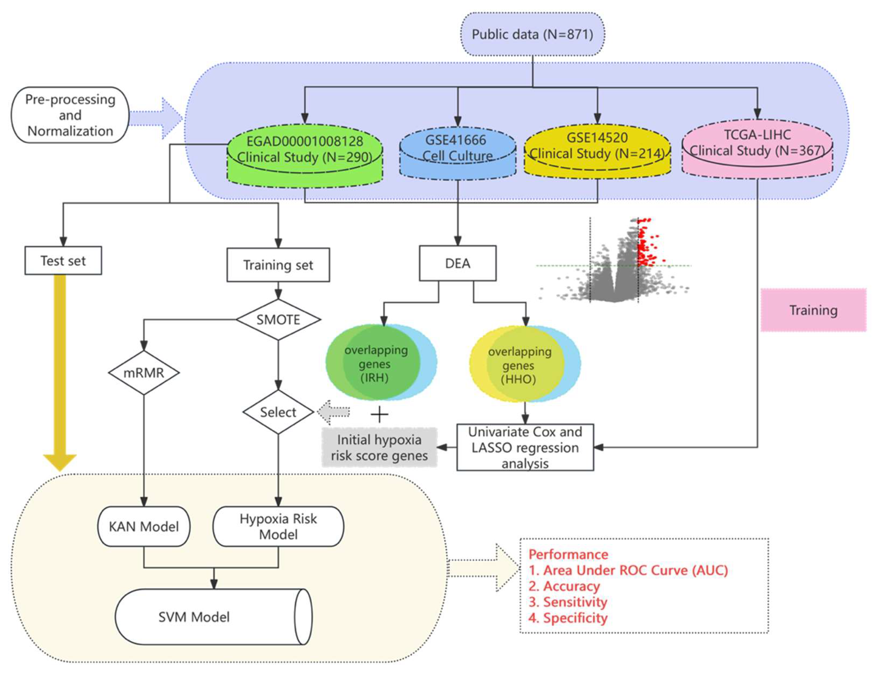 Kolmogorov-Arnold Network Model Integrated with Hypoxia Risk for Predicting PD-L1 Inhibitor ...