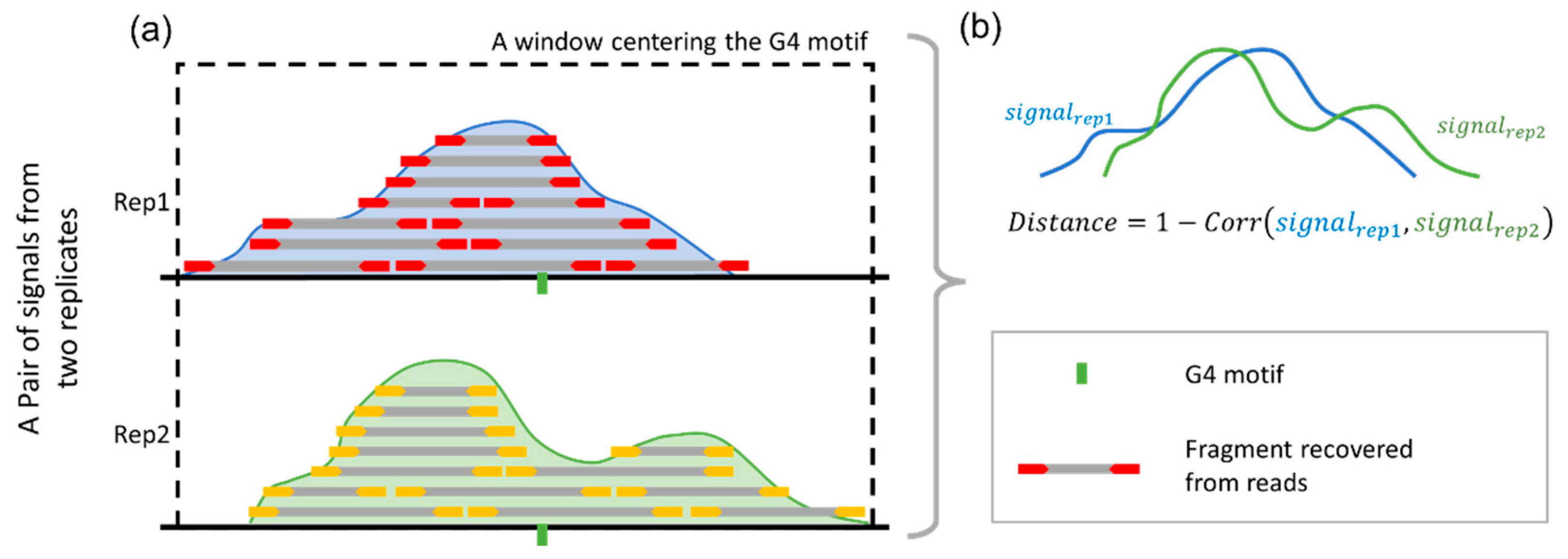 Evaluating the Performance of Peak Calling Algorithms Available for Intracellular G-Quadruplex ...