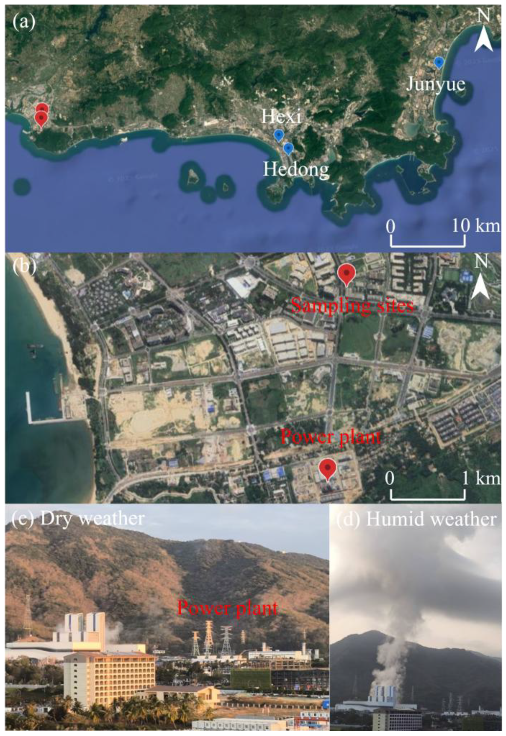 Investigating Dual Character of Atmospheric Ammonia on Particulate ...