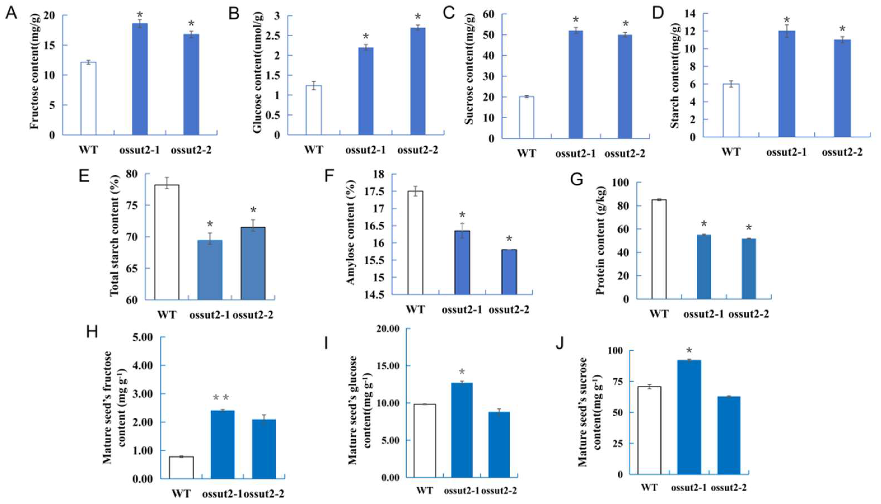 Molecular Mechanism of OsSUT2 Regulating Chalkiness Formation in Rice ...