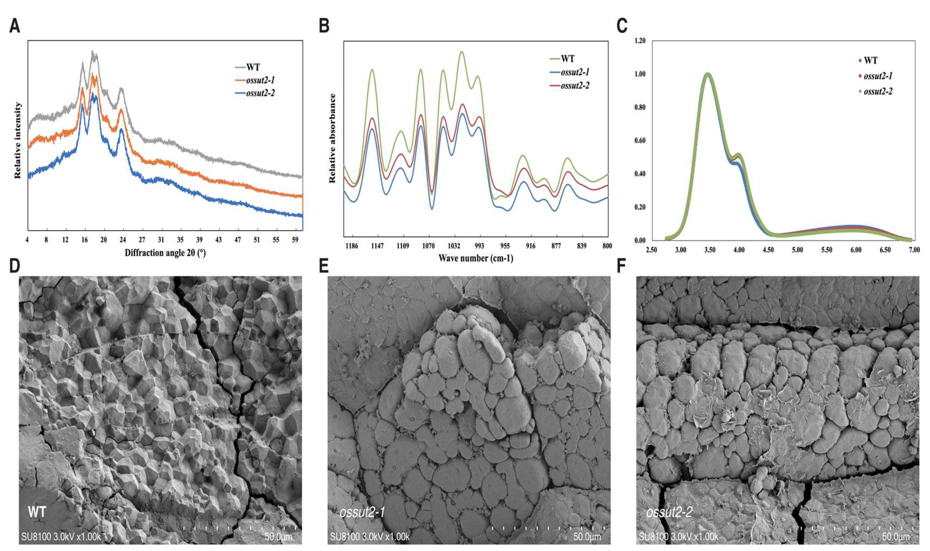 Molecular Mechanism of OsSUT2 Regulating Chalkiness Formation in Rice ...
