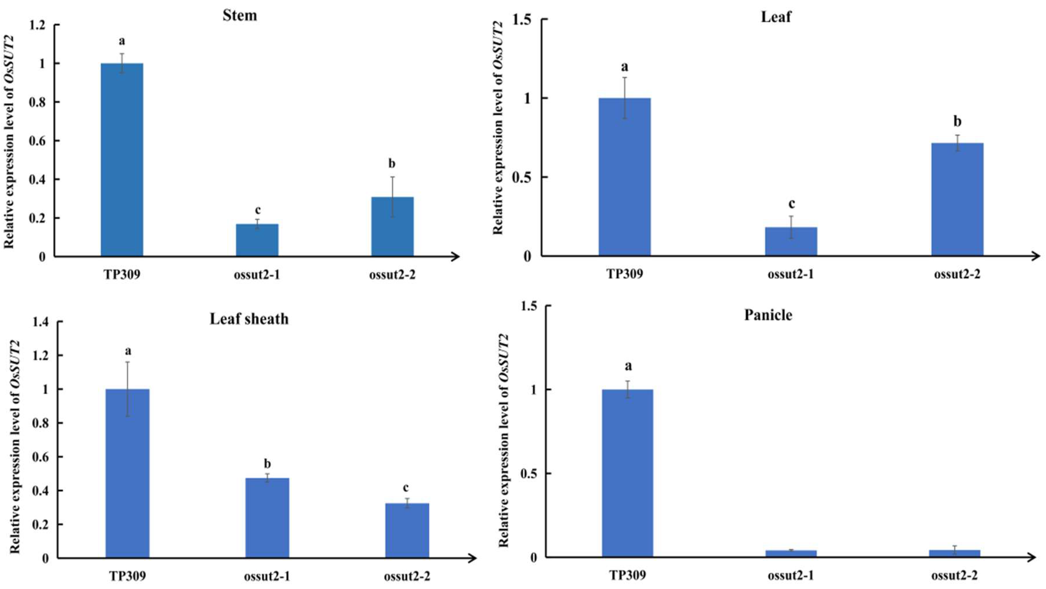 Molecular Mechanism of OsSUT2 Regulating Chalkiness Formation in Rice ...