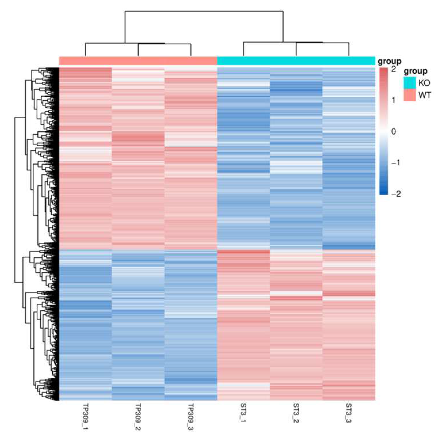 Molecular Mechanism of OsSUT2 Regulating Chalkiness Formation in Rice ...