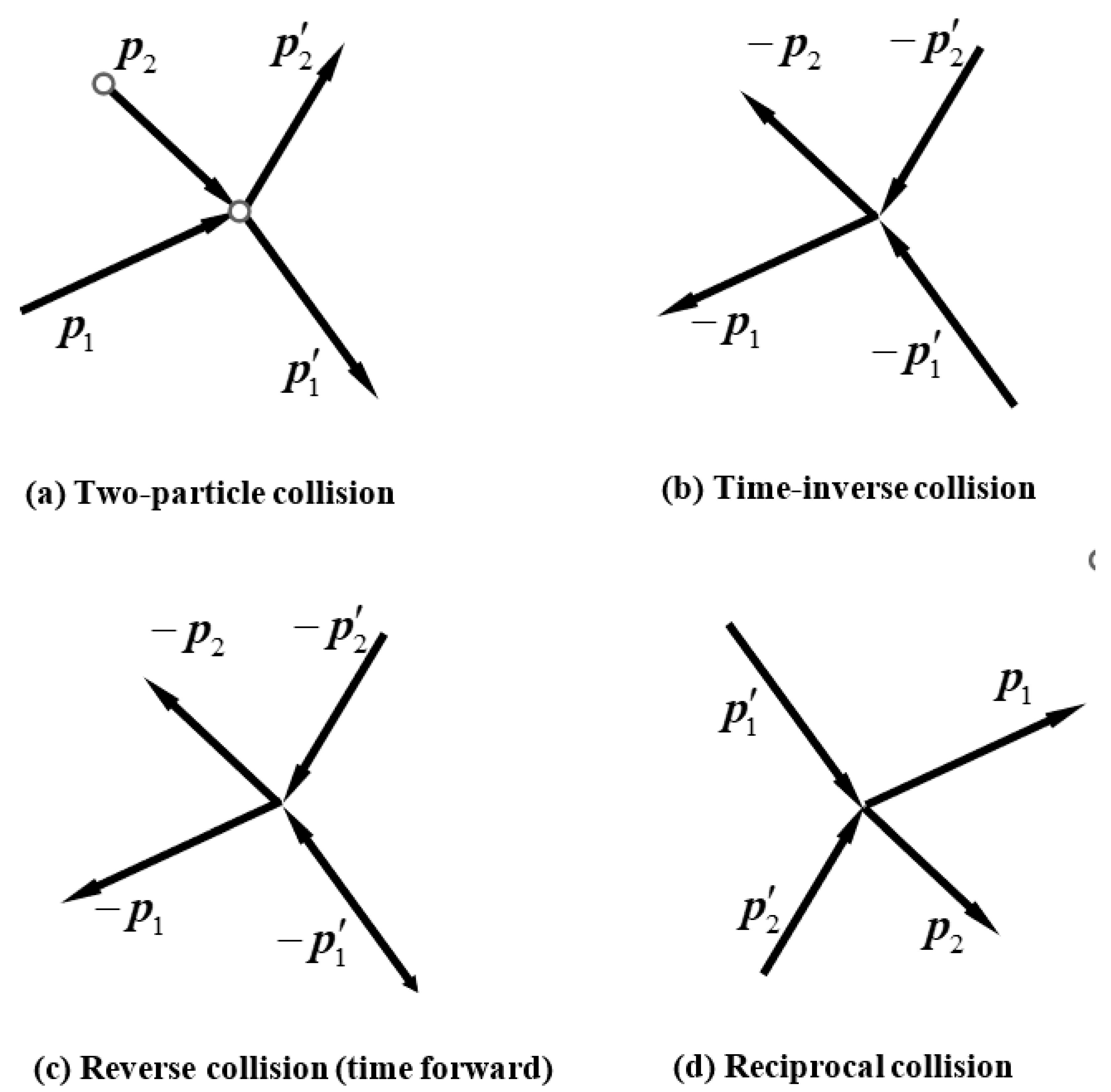 The Irreversibility of Microscopic Motions[v1] | Preprints.org