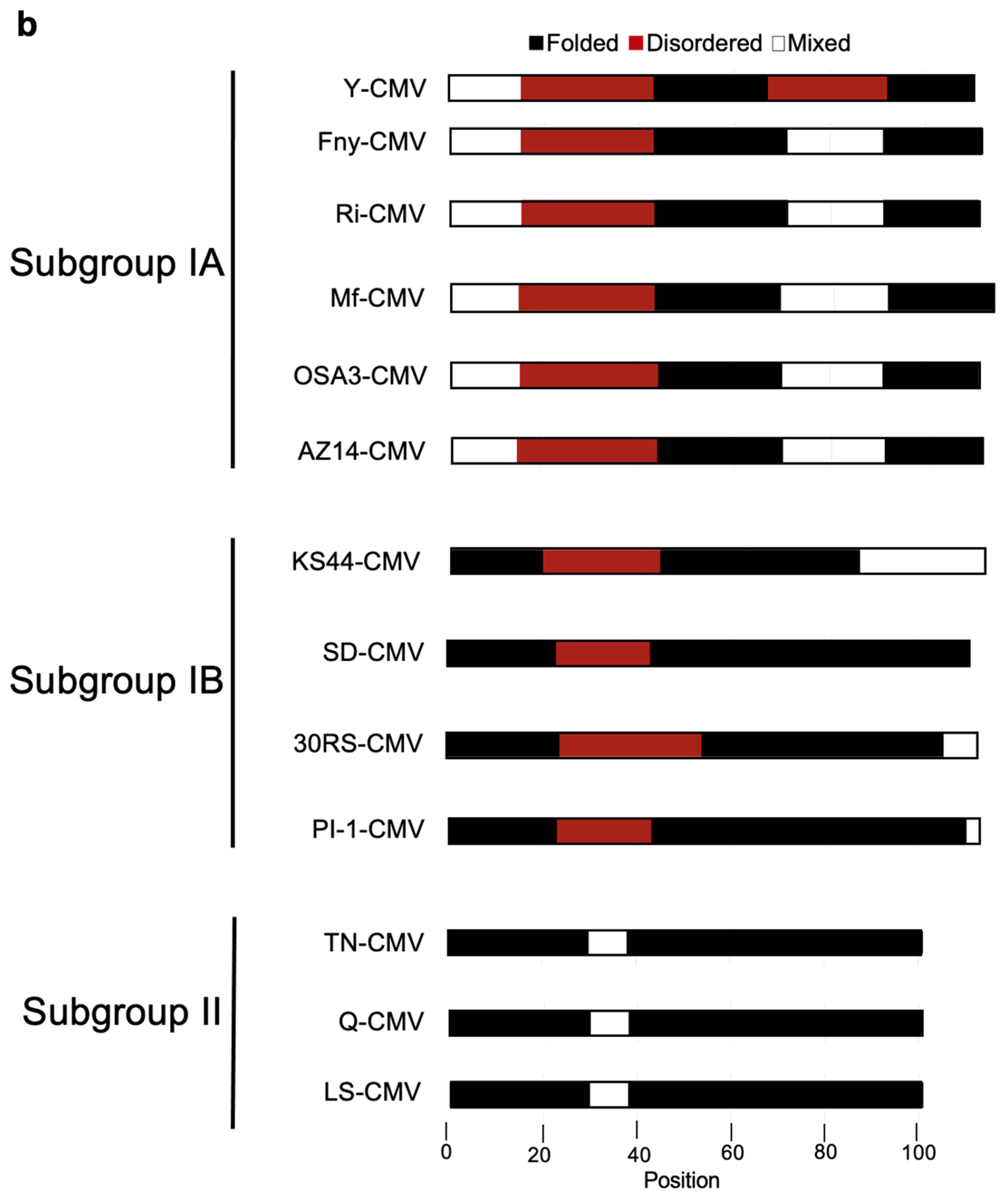Investigating the Interactions of the Cucumber Mosaic Virus 2b Protein ...
