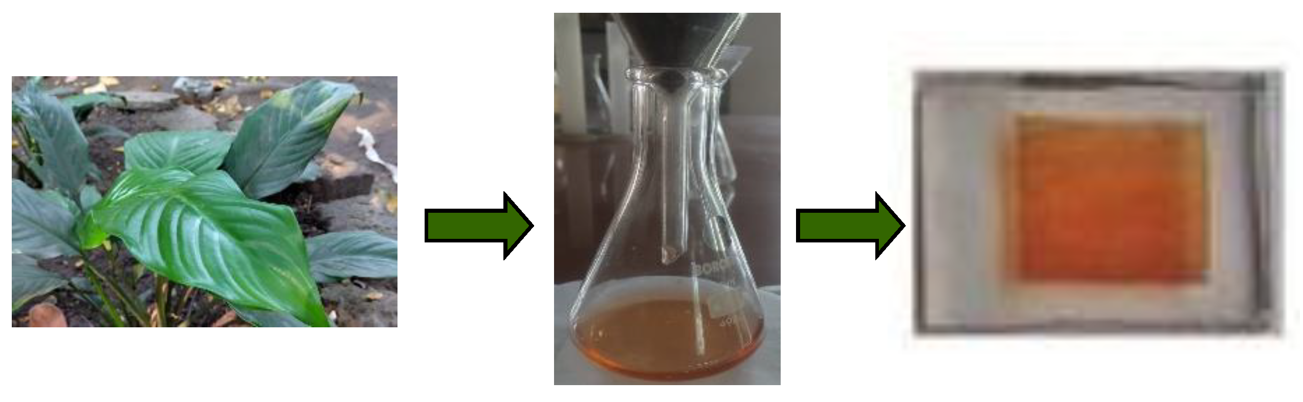 Assessment of the Efficacy of a Natural Dye-Sensitized Solar Cell ...