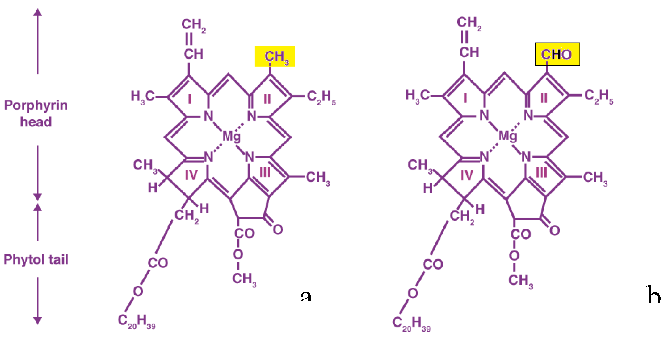 Assessment of the Efficacy of a Natural Dye-Sensitized Solar Cell ...
