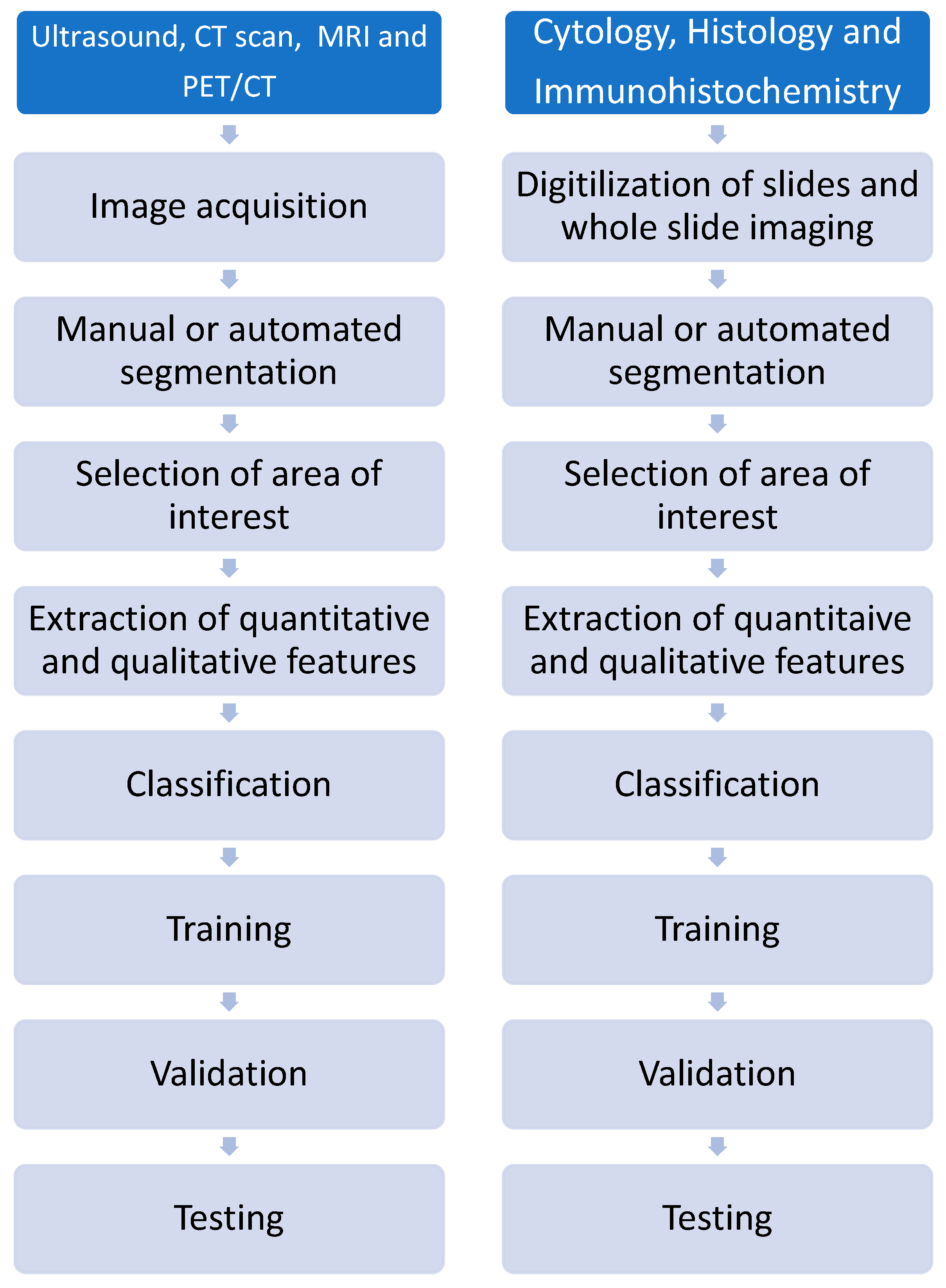 Holomics and AI-Driven Precision Oncology for Medullary Thyroid ...