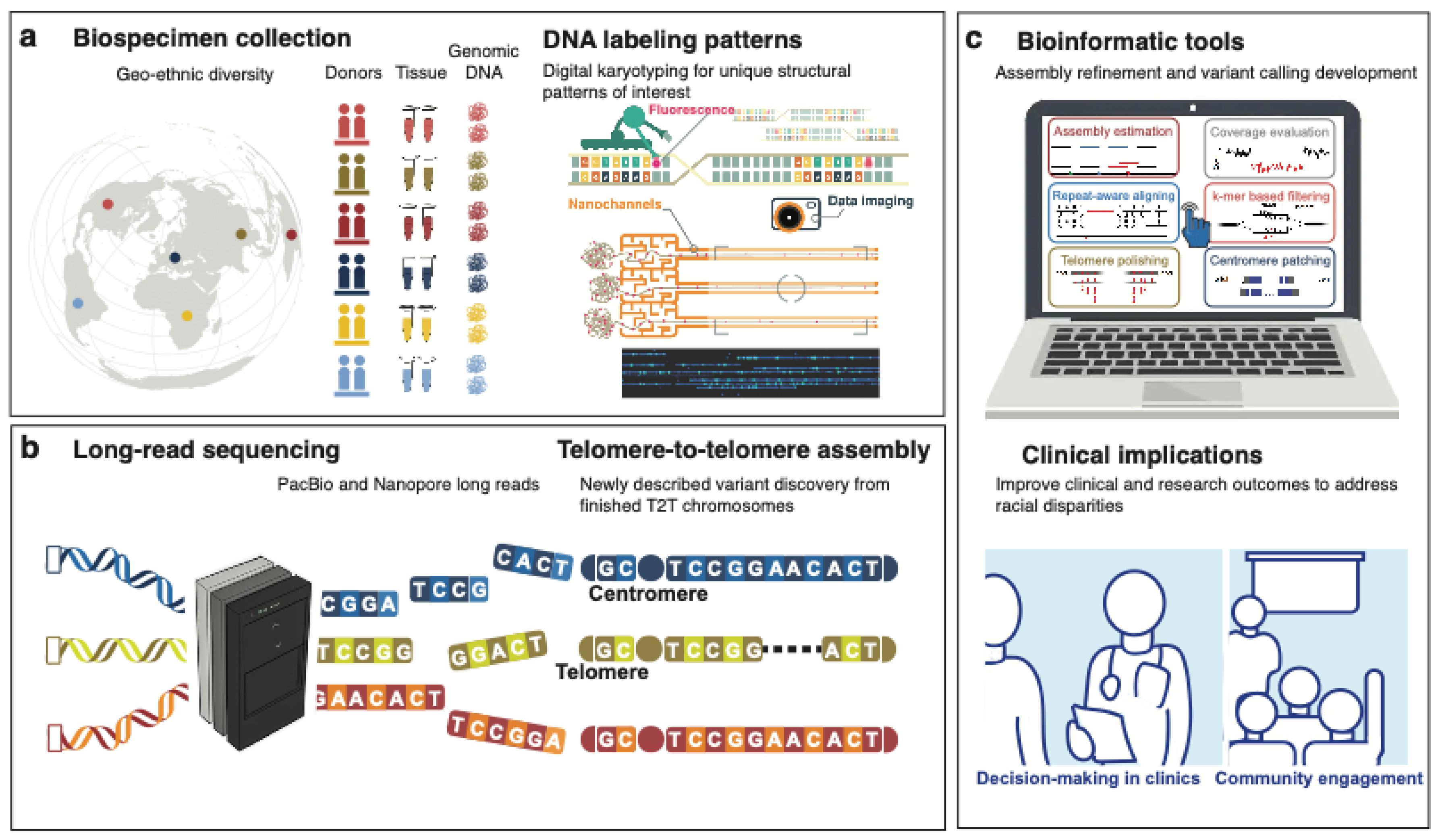 Scaling for African Inclusion in High-Throughput Whole Cancer Genome ...