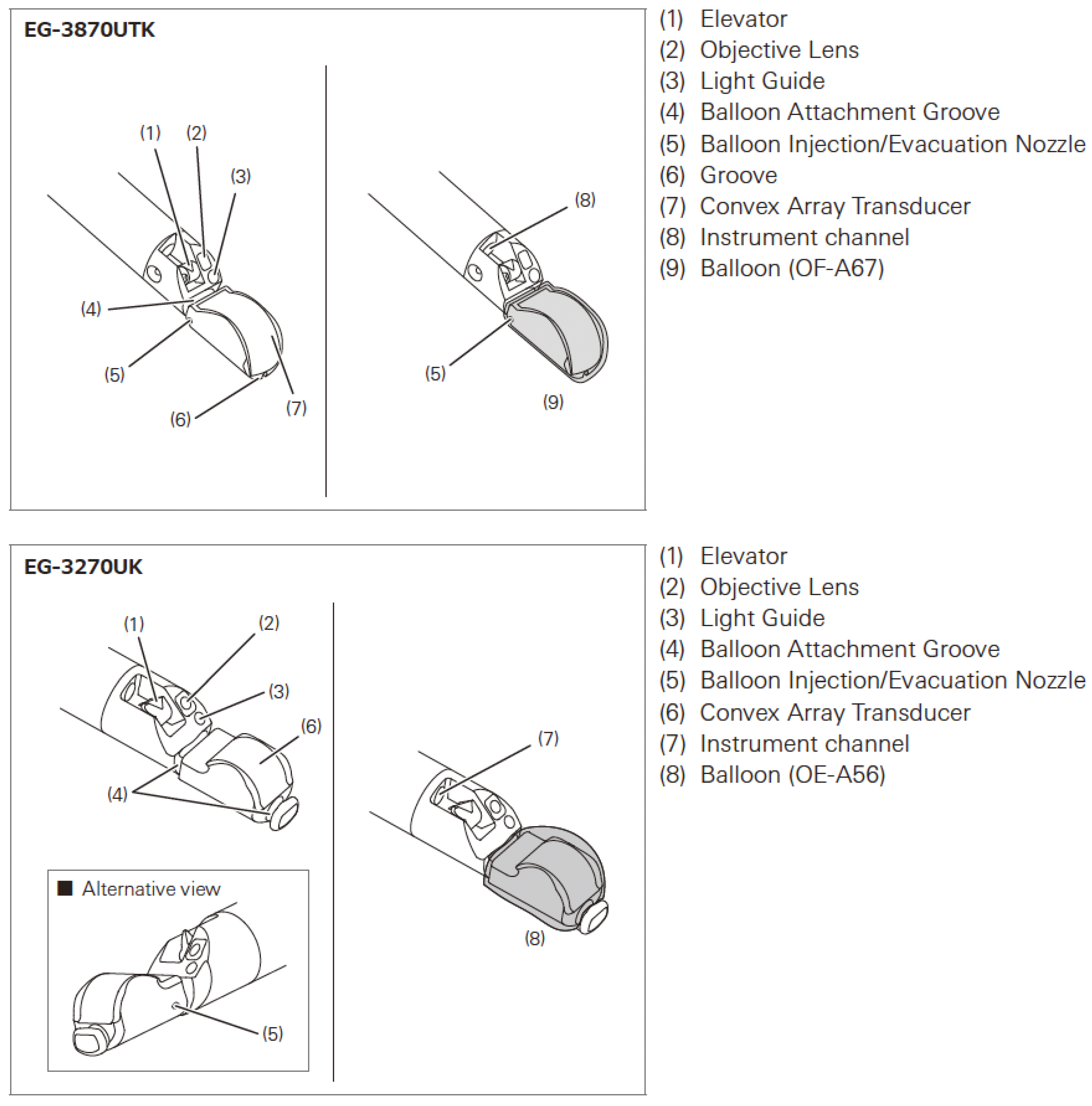 The Role of Endosongraphy in Cardiology: Clinical Applications[v1 ...