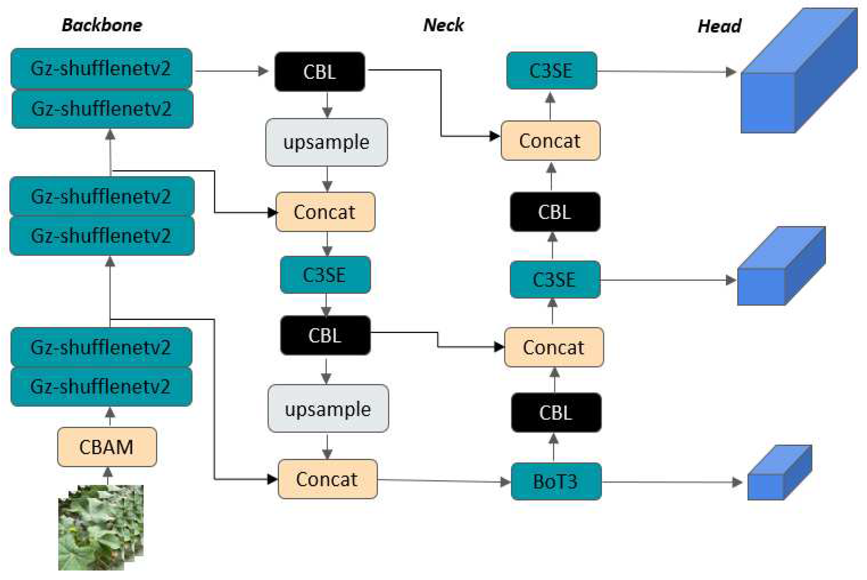 Based on the Improved Yolov5 Cotton Top Bud Recognition Algorithm[v1] | Preprints.org
