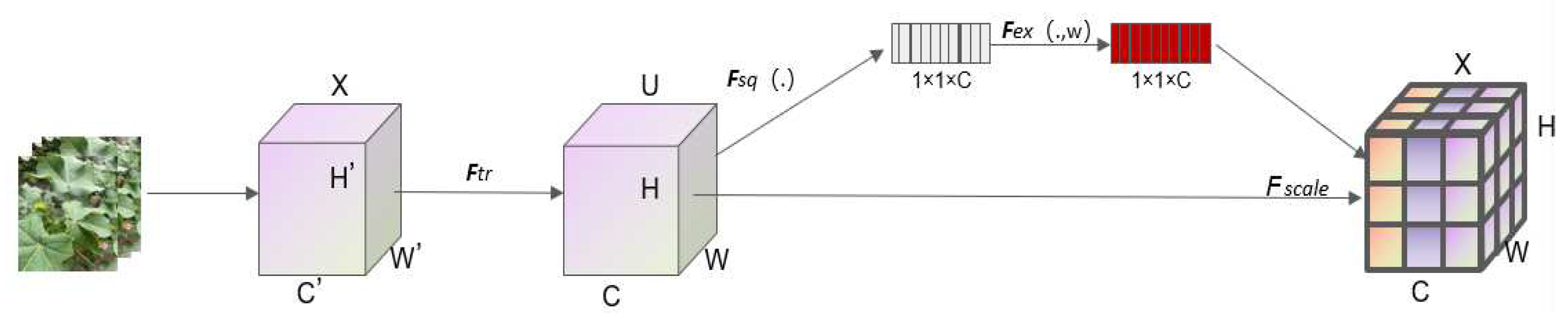 Based on the Improved Yolov5 Cotton Top Bud Recognition Algorithm[v1] | Preprints.org