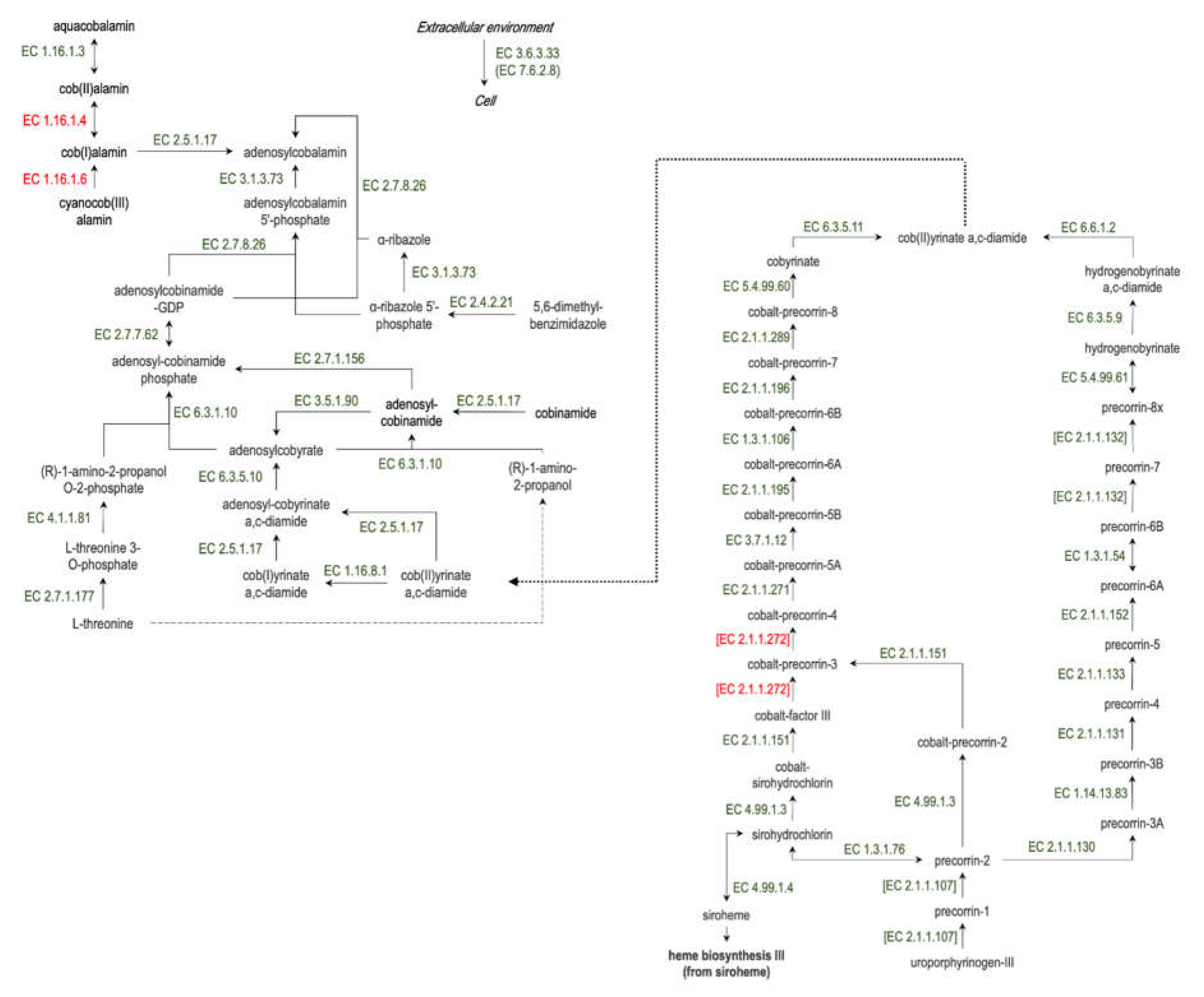 Obesogenic Gut Microbiota as a Crucial Factor Defining the Depletion of ...