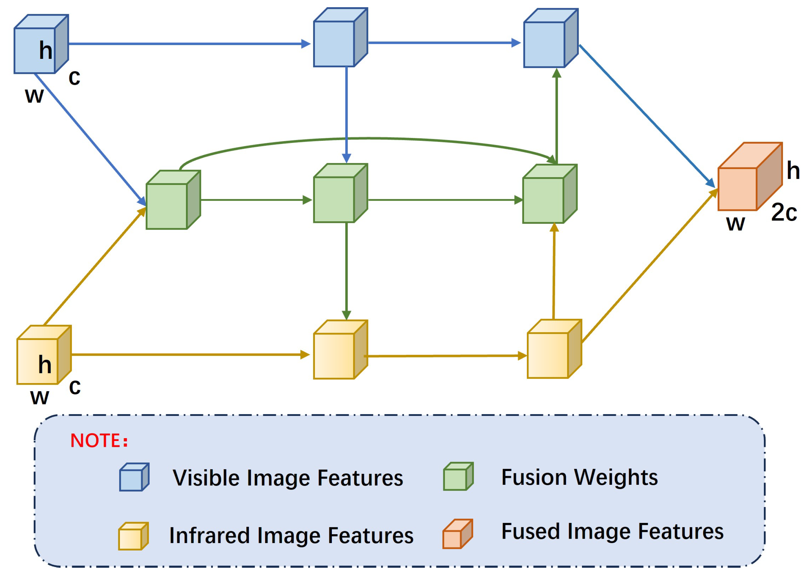 IV-YOLO: A Lightweight Dual-Branch Object Detection Network[v1 ...