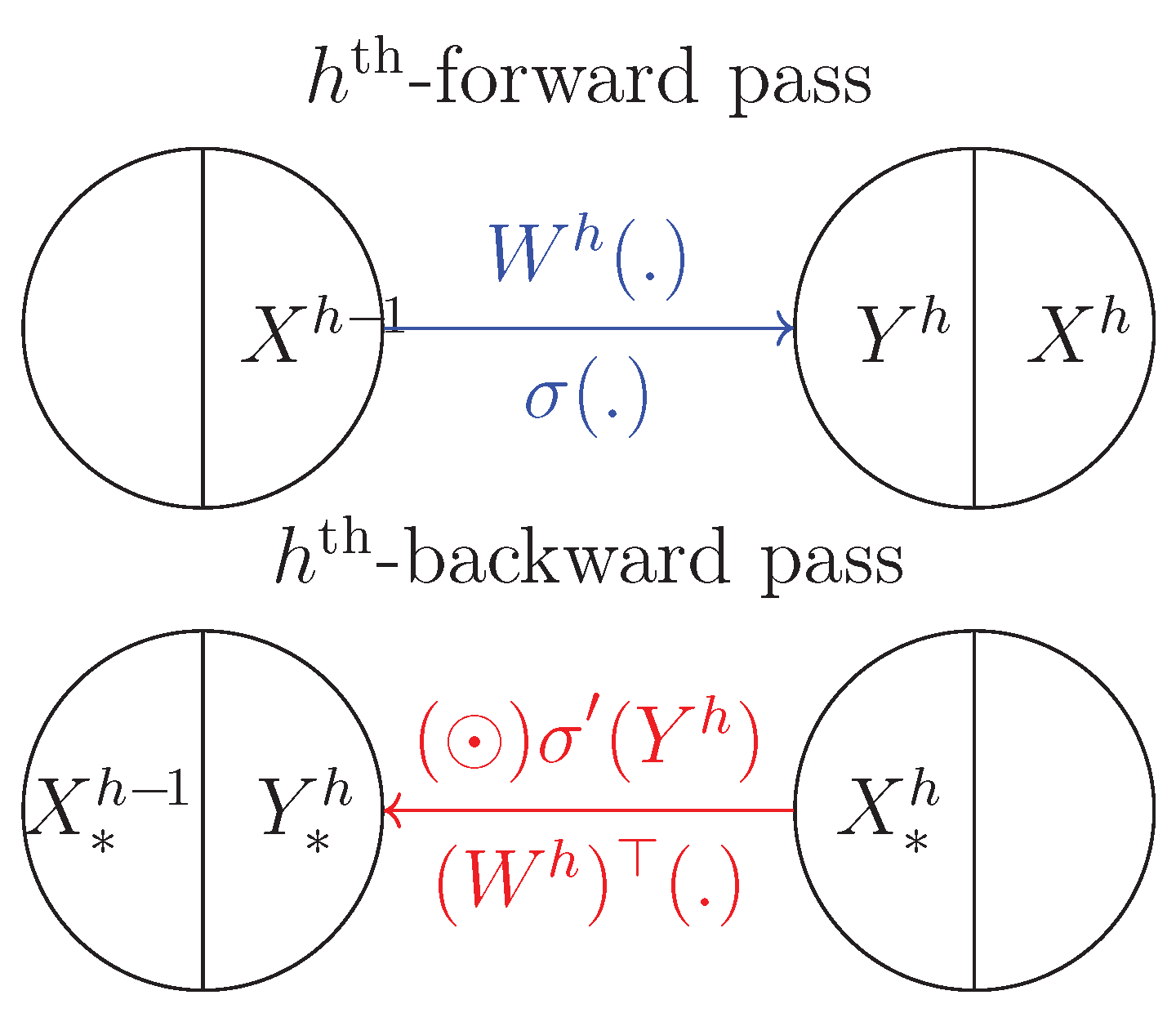 Backpropagation and F-adjoint[v1] | Preprints.org