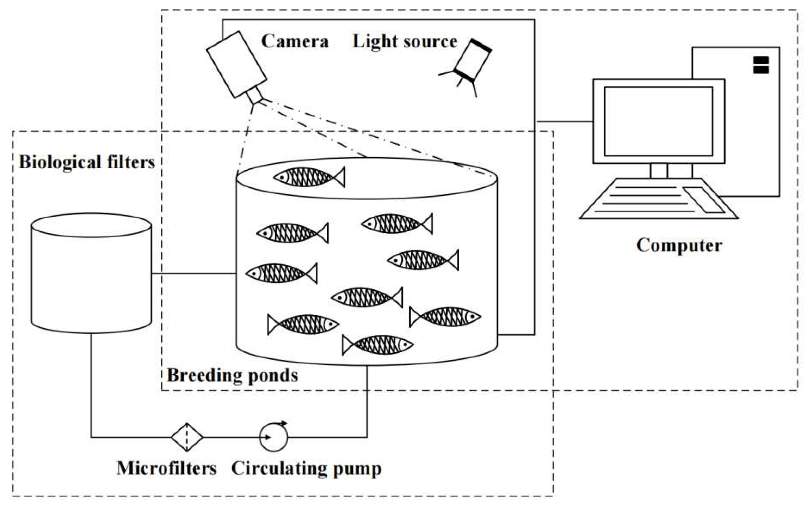 A High-Precision Classification Method for Fish Feeding Behavior Analysis Based on Improved ...