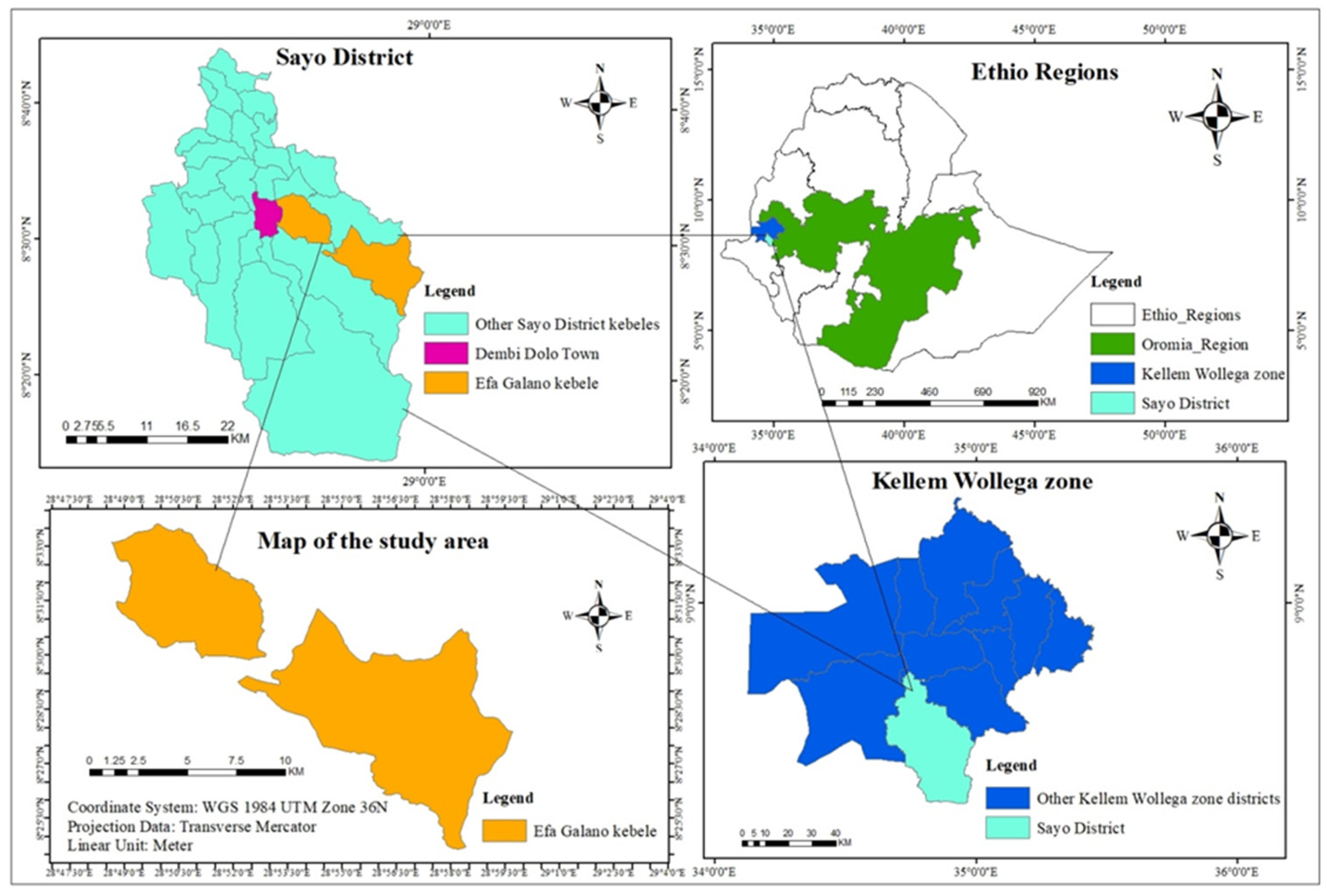 Evaluation of Agronomic Performance, Forage Yield, and Nutritive Value ...