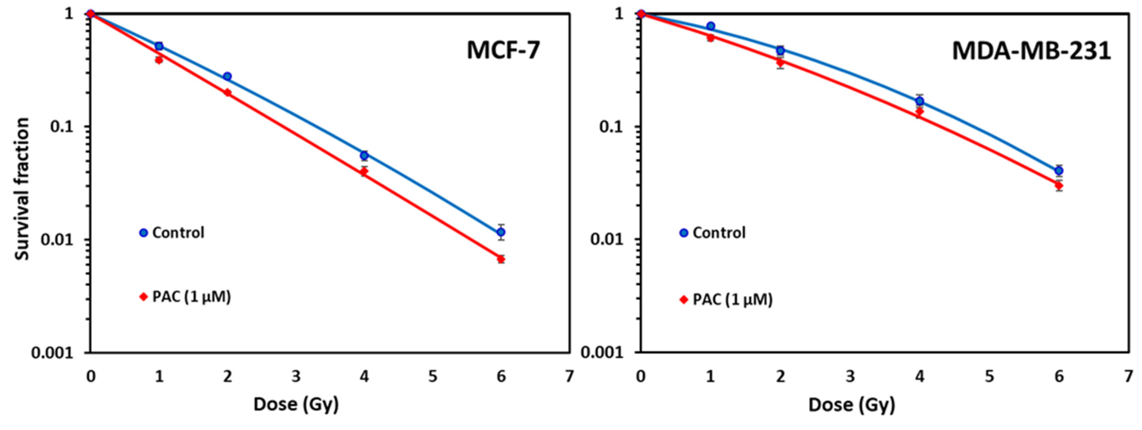 Influence of PAC, a Curcumin Analog Inhibitor of NF-κB, on the ...